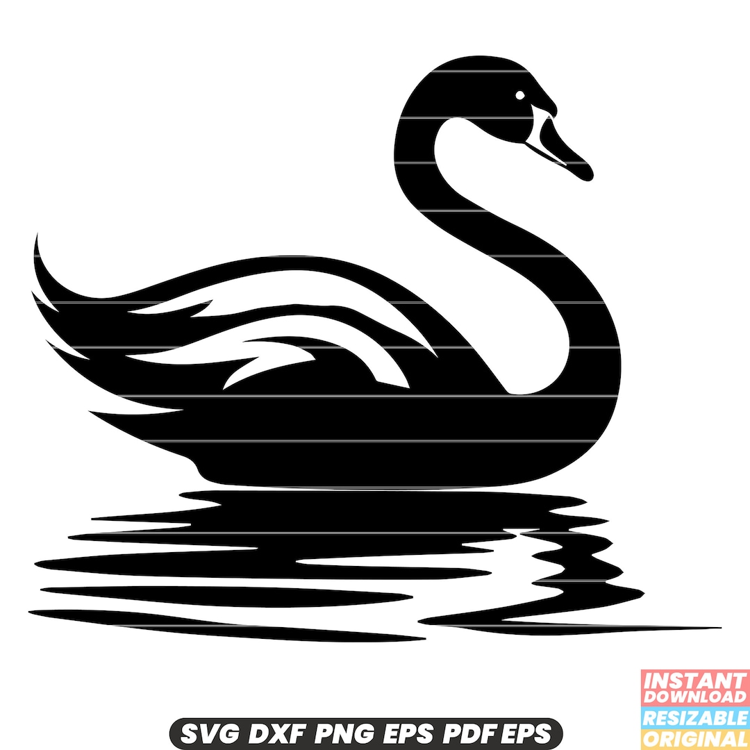 Swan SVG Swan DXF Swan PNG Graceful Designs for Birdwatchers Instant ...