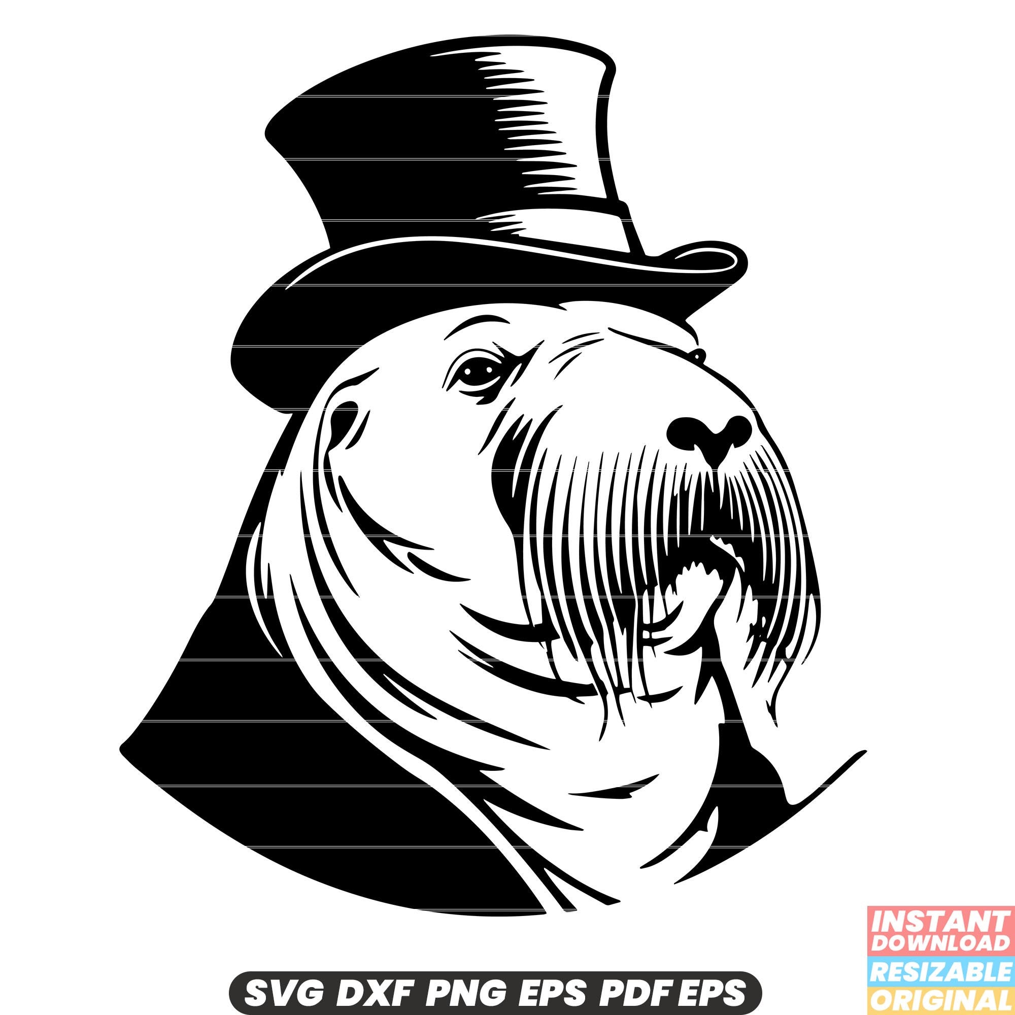 Walrus Marine Mammal Wildlife Tusk Blubber Arctic Ice Floe Tundra ...