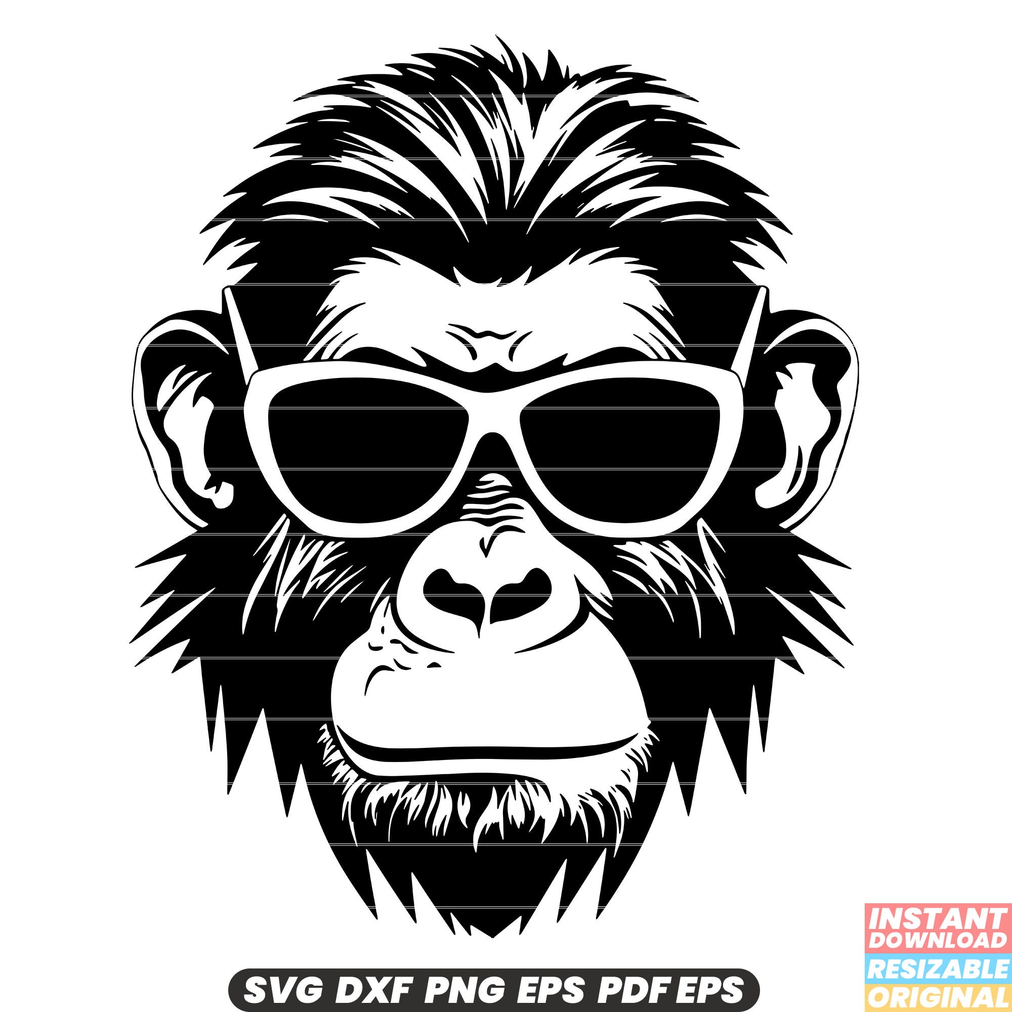 Monkey With Sunglasses Animal Pet Cool Trendy Sun Shades Summer Fun ...