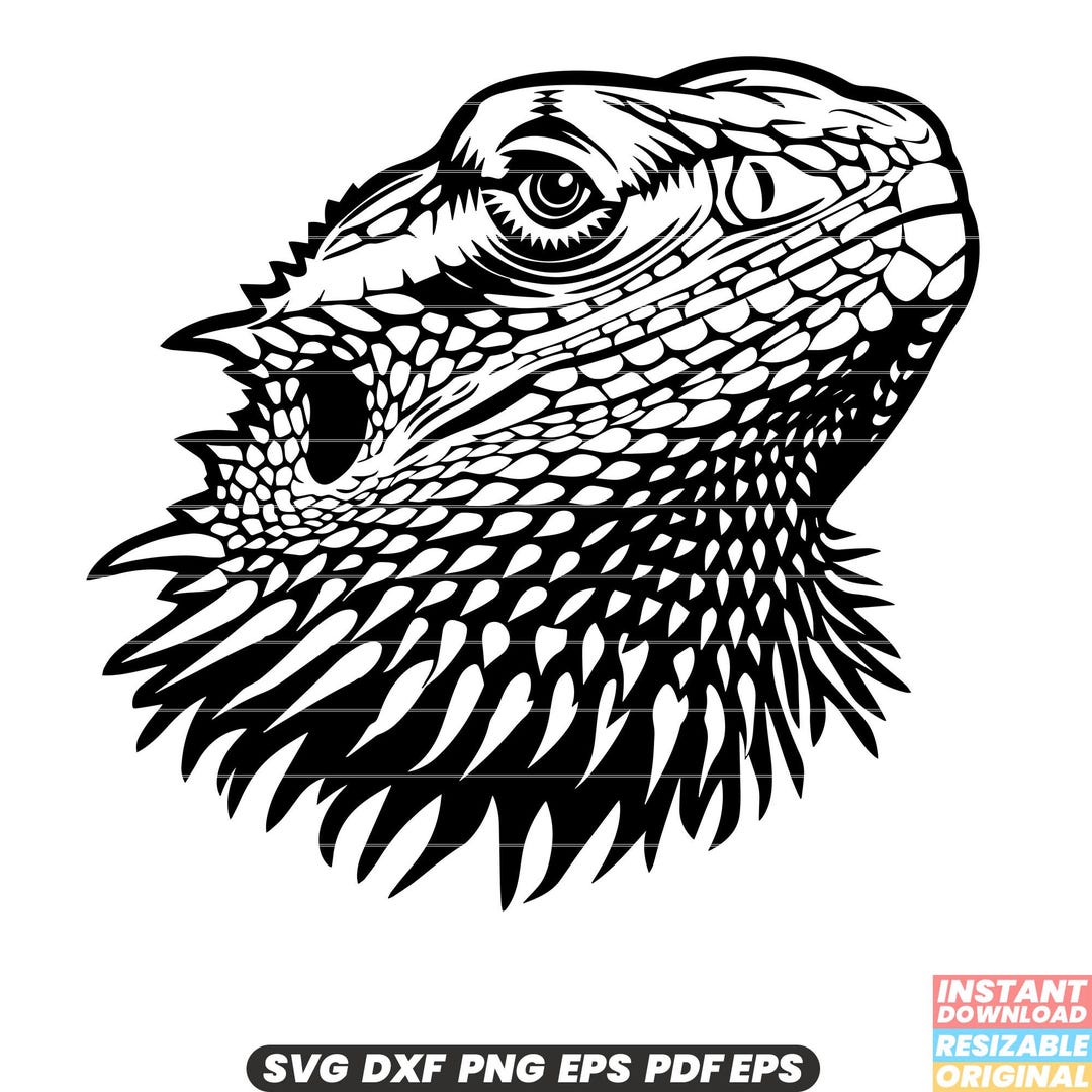 Bearded Dragon Svg, Bearded Dragon Dxf, Bearded Dragon Png, Bearded ...