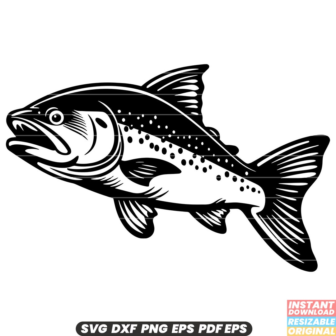 Steelhead Fish Trout Salmon Ocean River Wildlife Angler Catch Sport ...