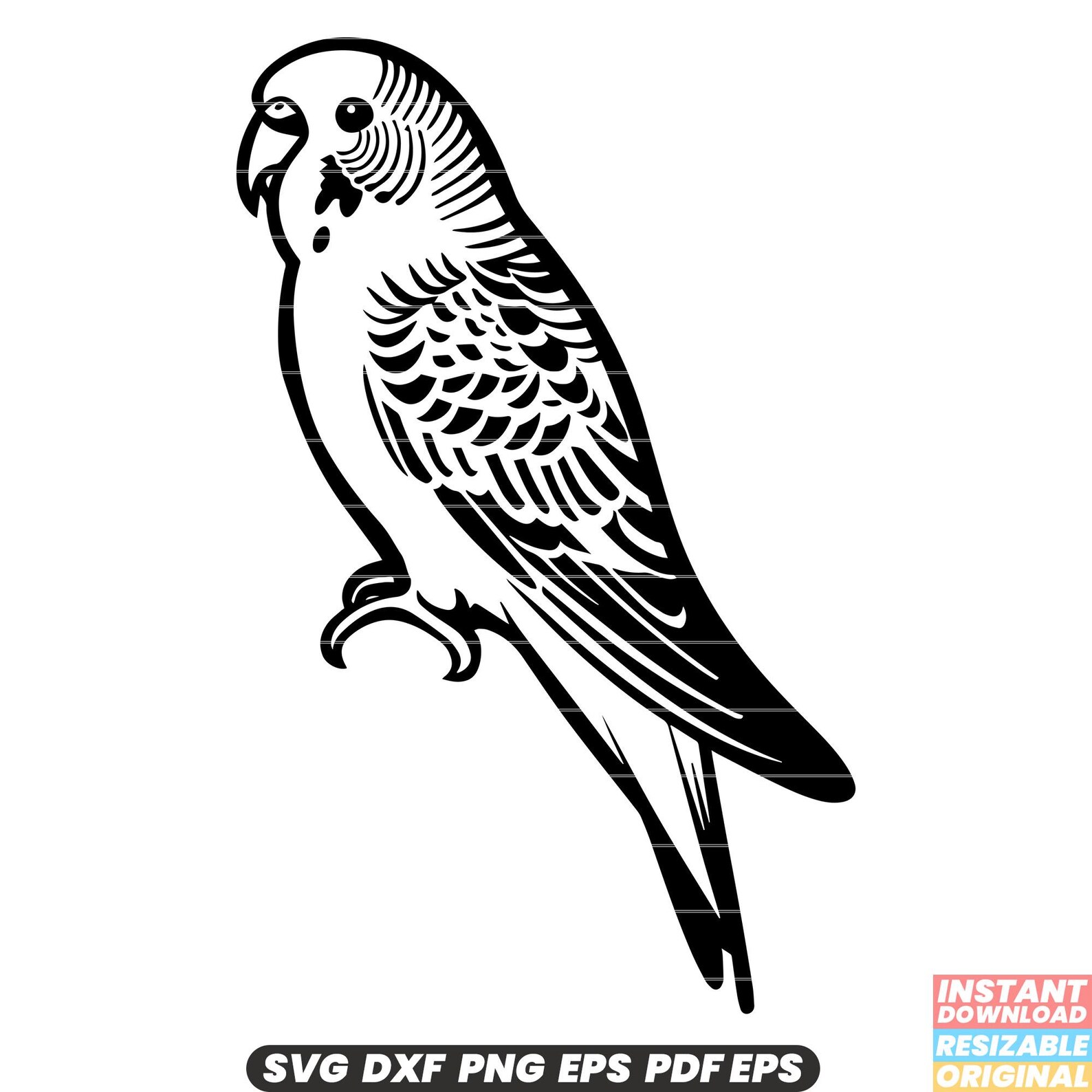 Budgerigar Svg, Budgerigar Dxf, Budgerigar Png, Budgerigar Cut File ...