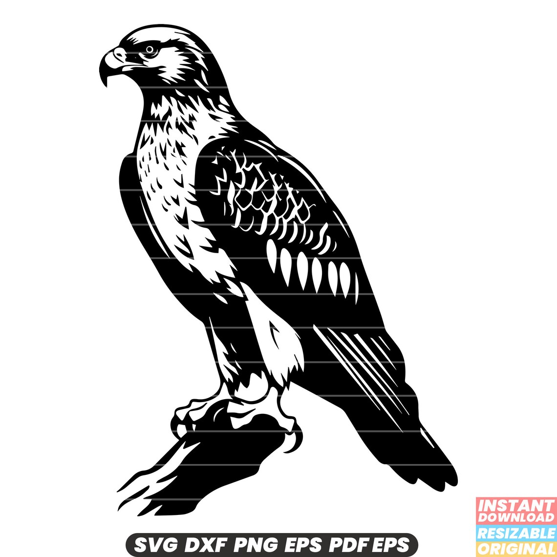 Buzzard SVG DXF PNG Raptor Bird Cut File Wildlife Clipart - Etsy