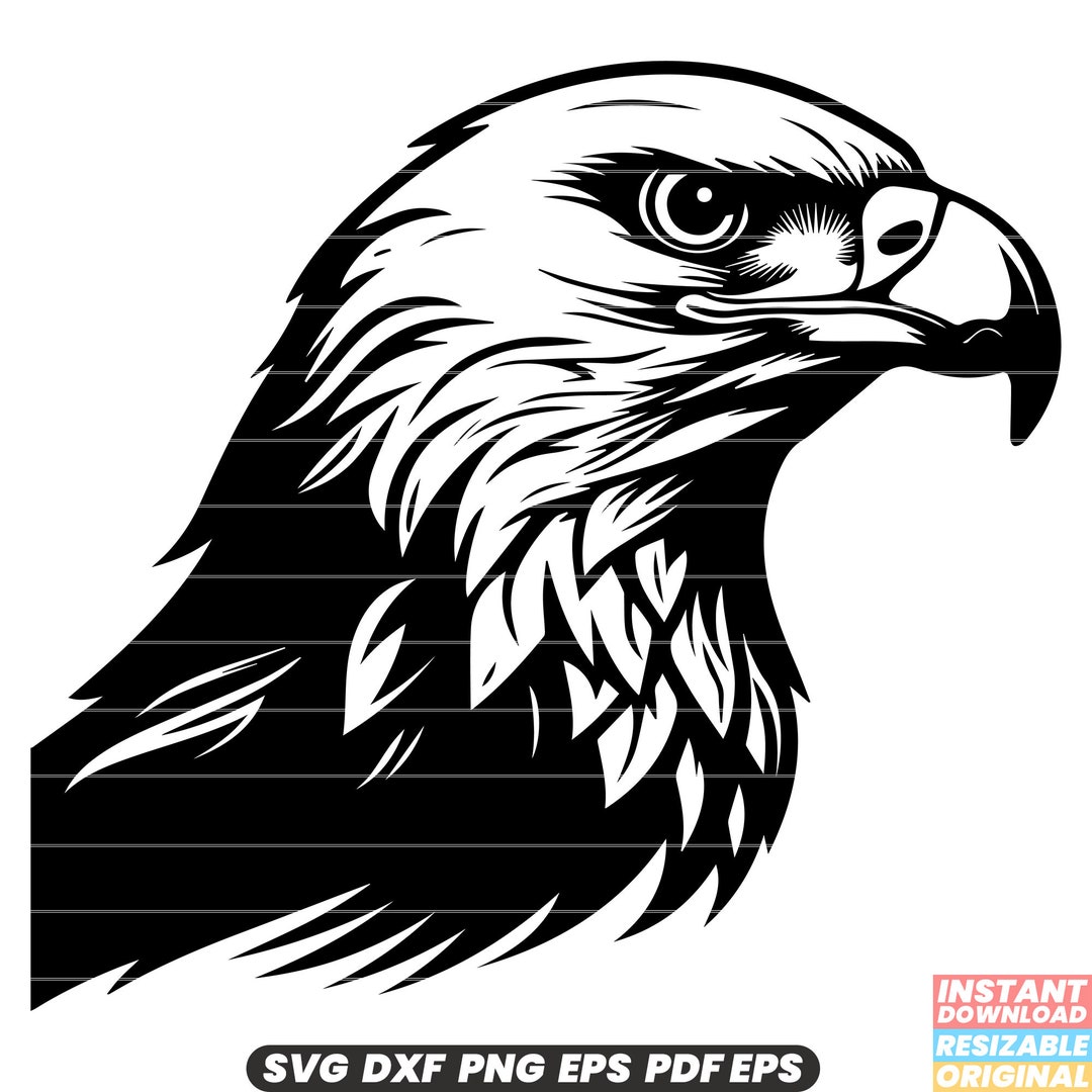 Buzzard Bird of Prey Raptor Hawk Wildlife Nature Feathered SVG DXF PNG ...