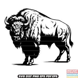 Bison Wildlife Animal North America American Bison Plains Creature ...