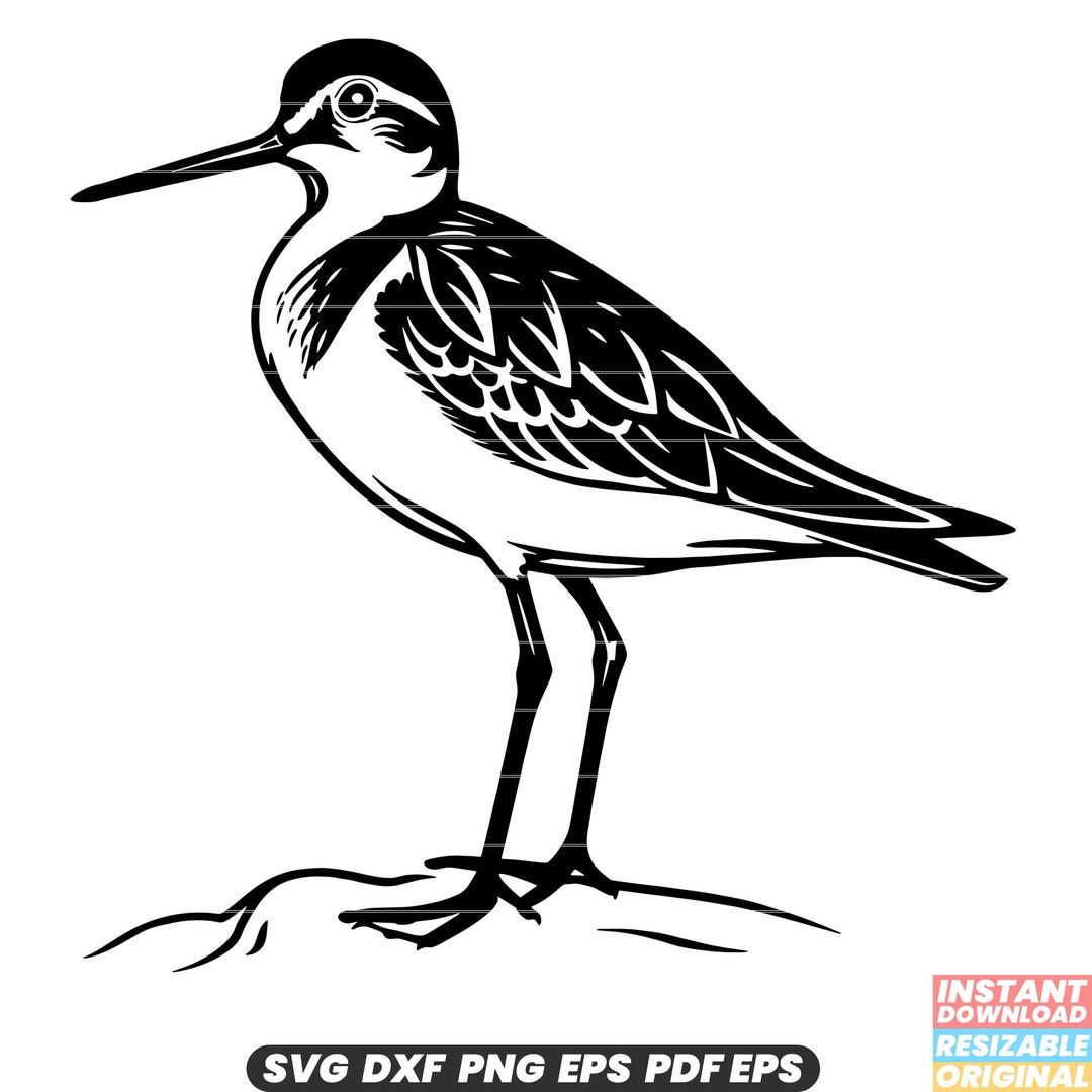 Sandpiper SVG Bird Illustration Sandpiper Clipart Shorebird Graphic ...