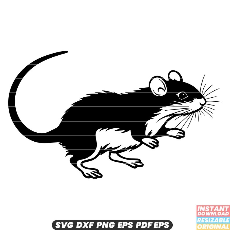 Rat SVG Rodent Illustration, Cute Mouse, Pest Control, Wildlife Graphic ...