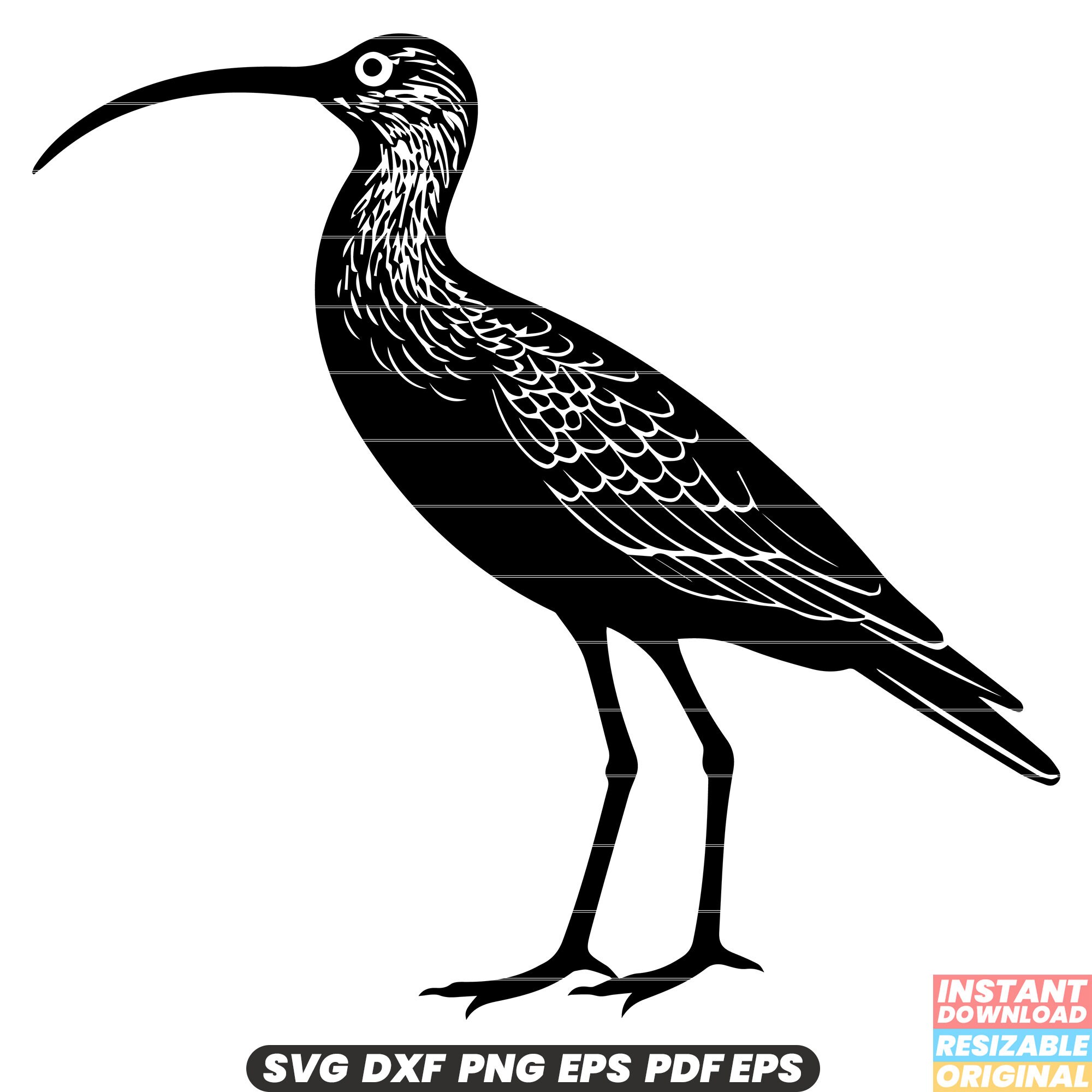 Curlew SVG, Curlew DXF, Curlew PNG: Graceful Shorebird Digital Art for ...