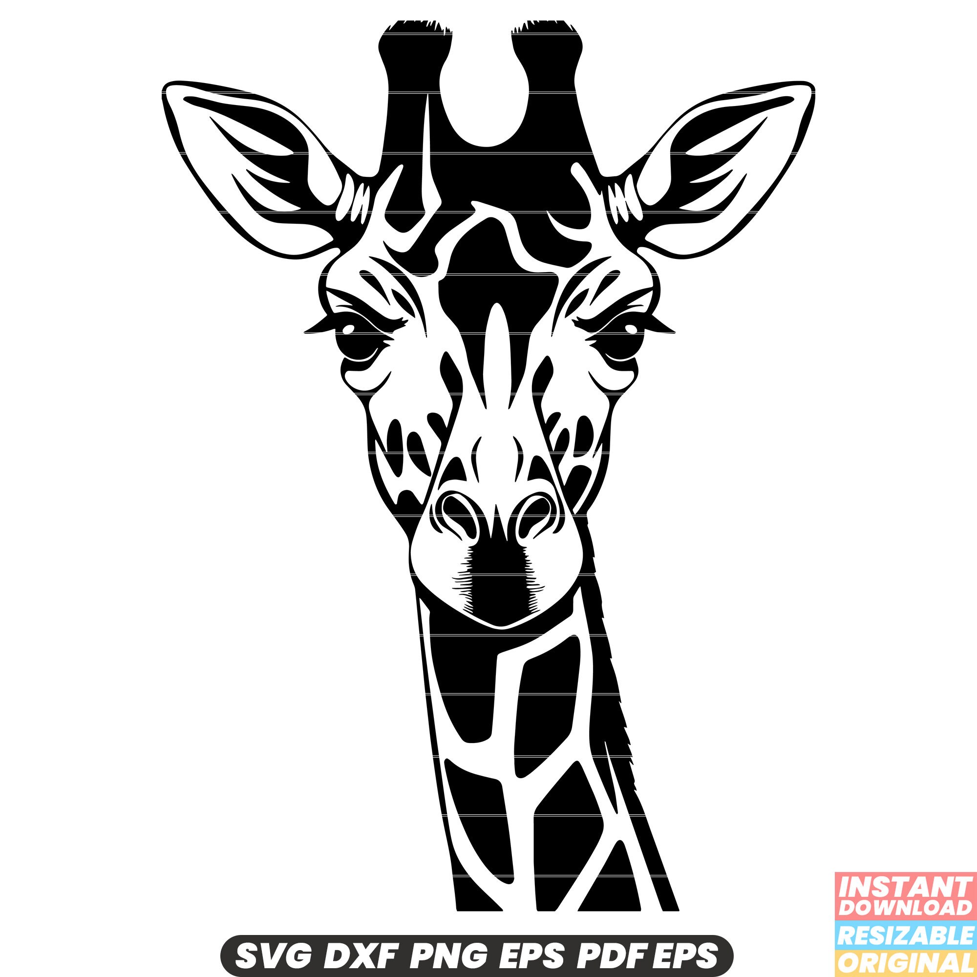 Giraffe Wildlife Animal Safari Tall Neck Spots Pattern African Savannah ...