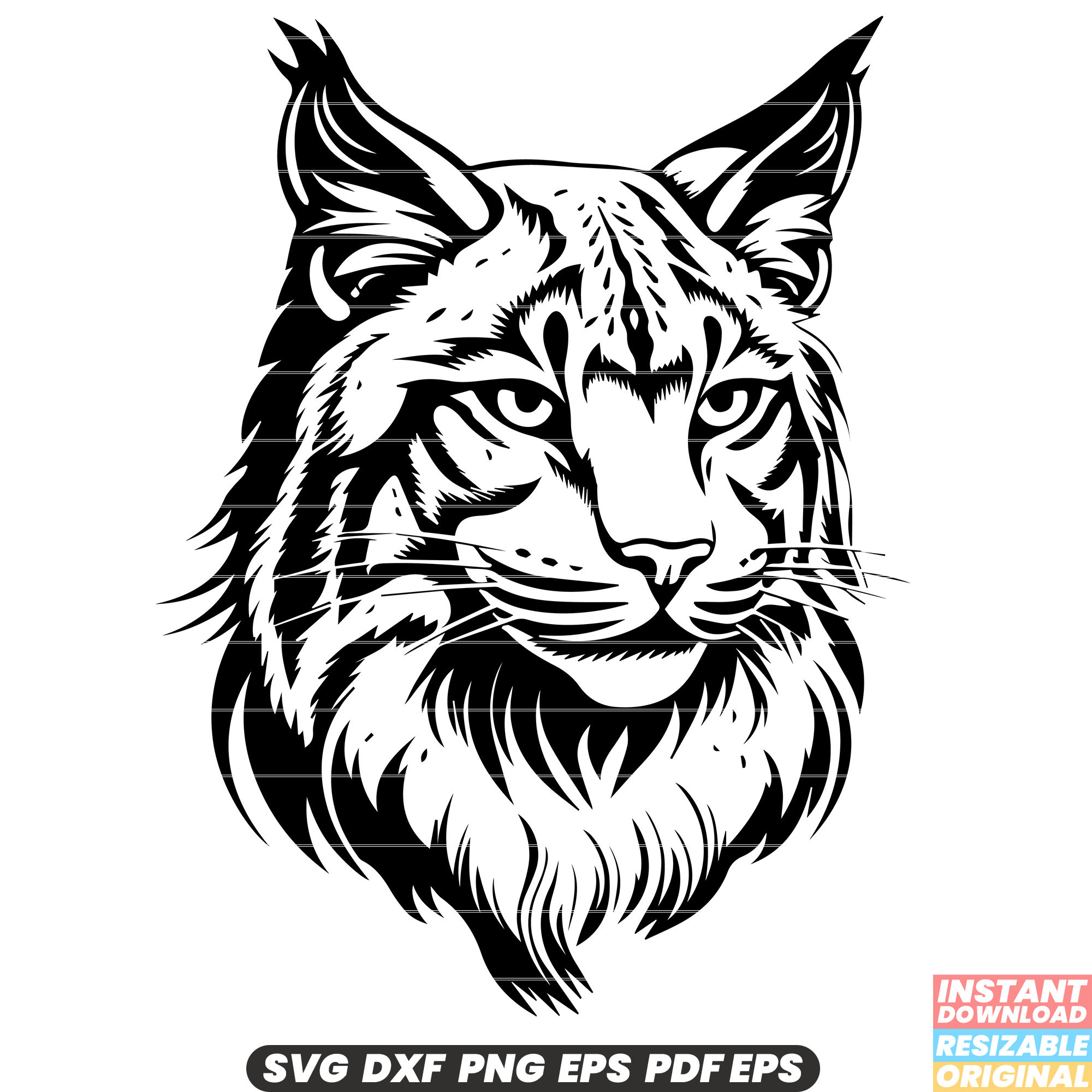 Bobcat Wildcat Predator Animal Feline North America Wildlife Nature SVG ...