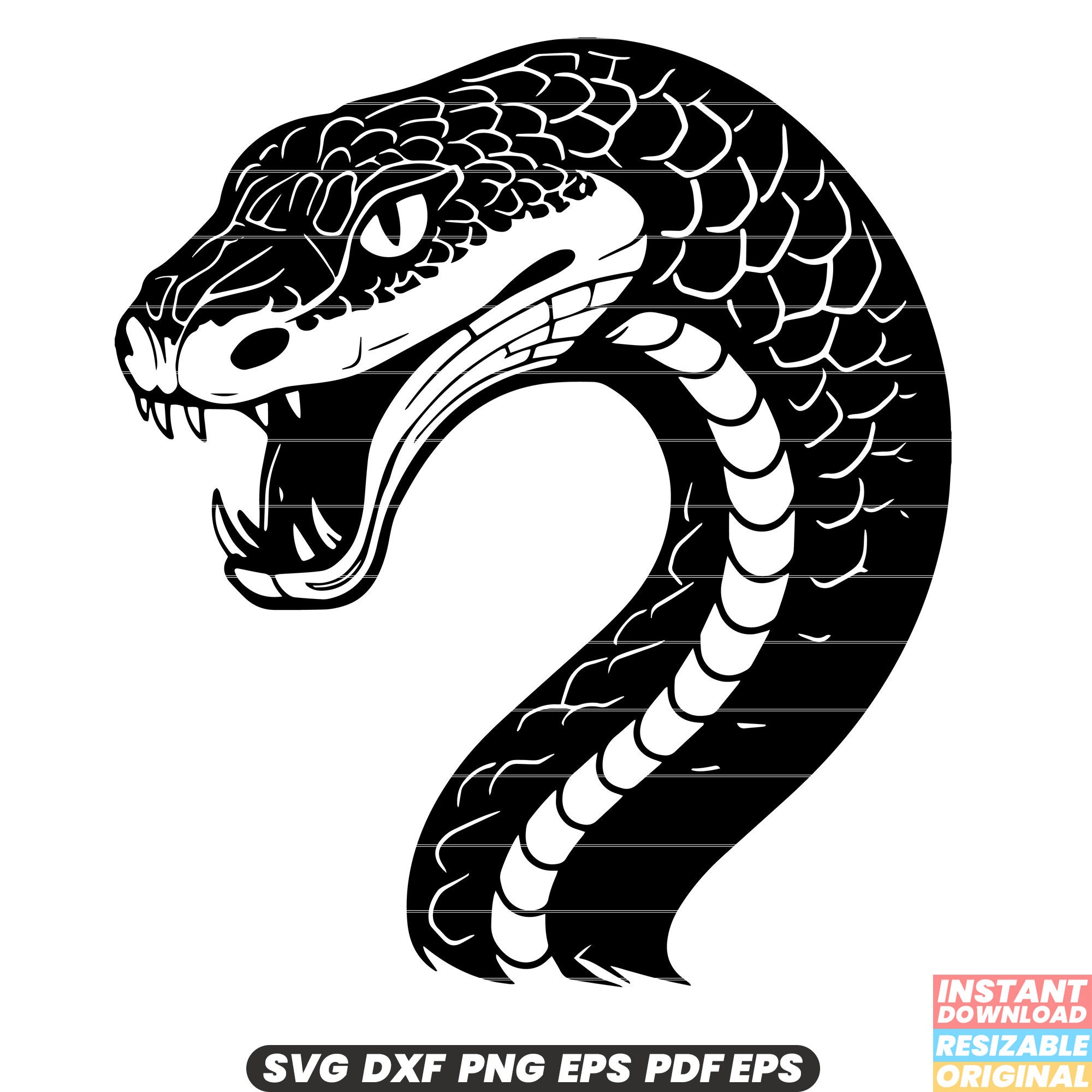 Snake Head Reptile Wildlife Venomous Fangs Serpent Cobra Viper Scales ...