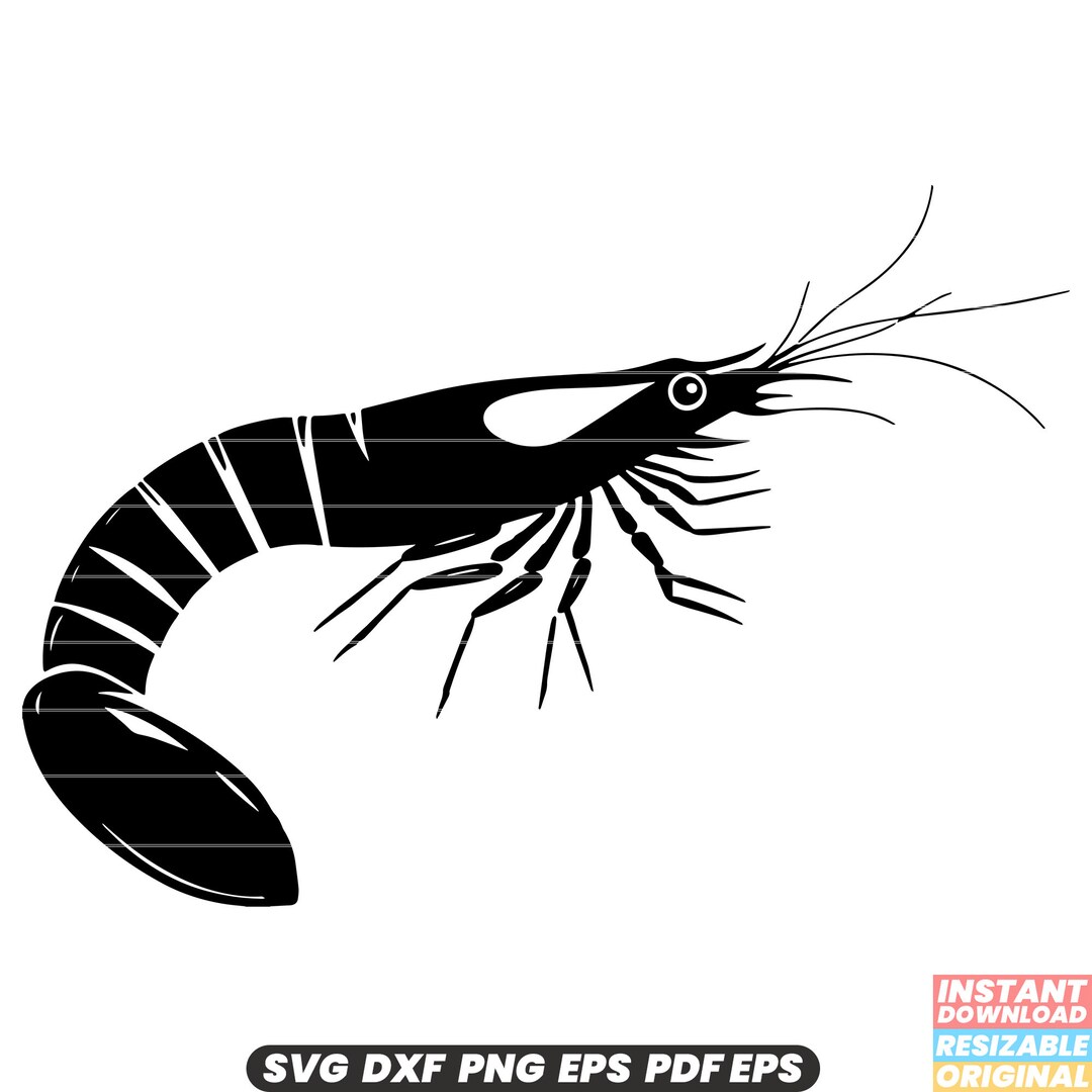 Prawn Seafood Crustacean Shrimp Cuisine Delicious Ocean Marine Cooking ...