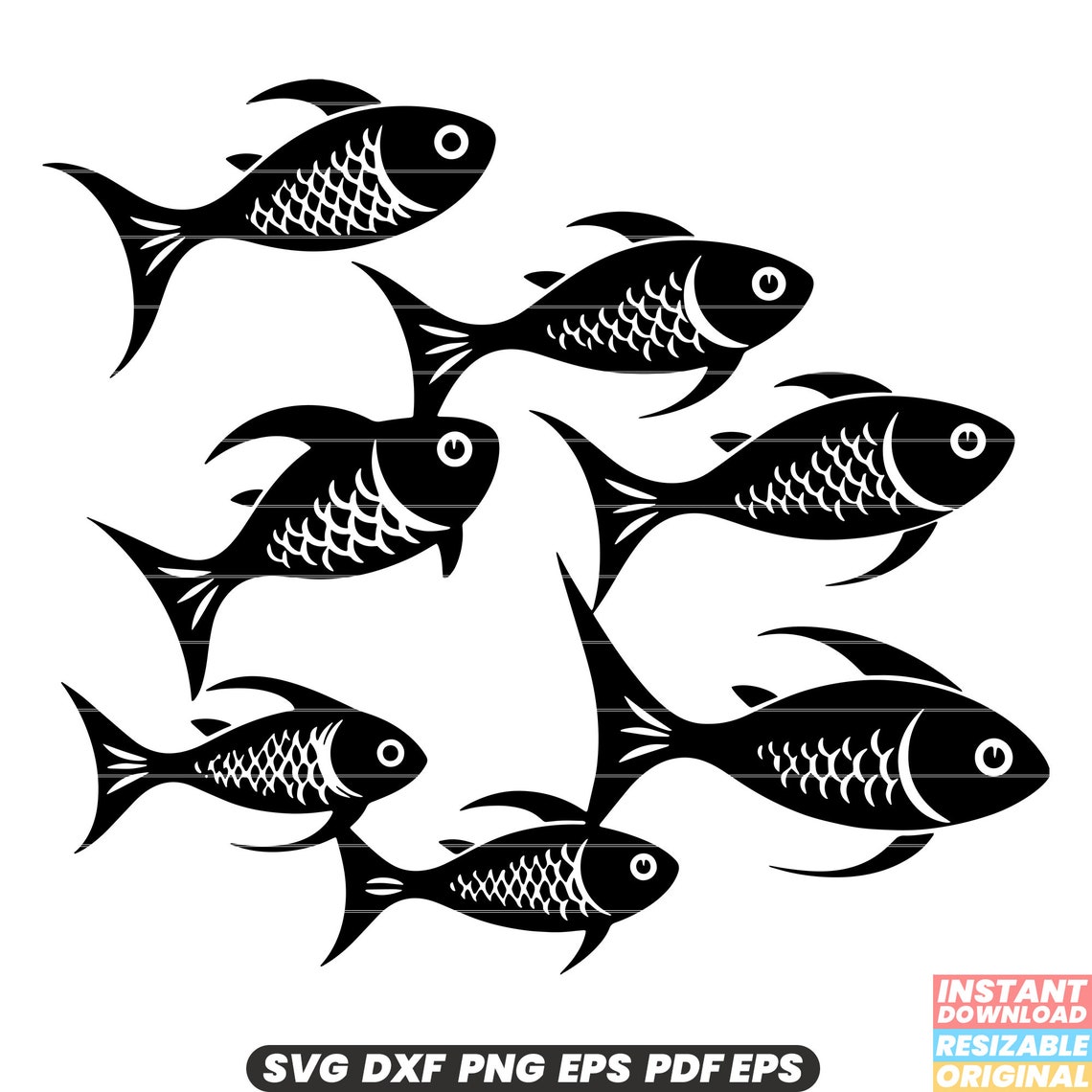 School of Fish Marine Life Ocean Underwater Wildlife Aquatic Habitat ...