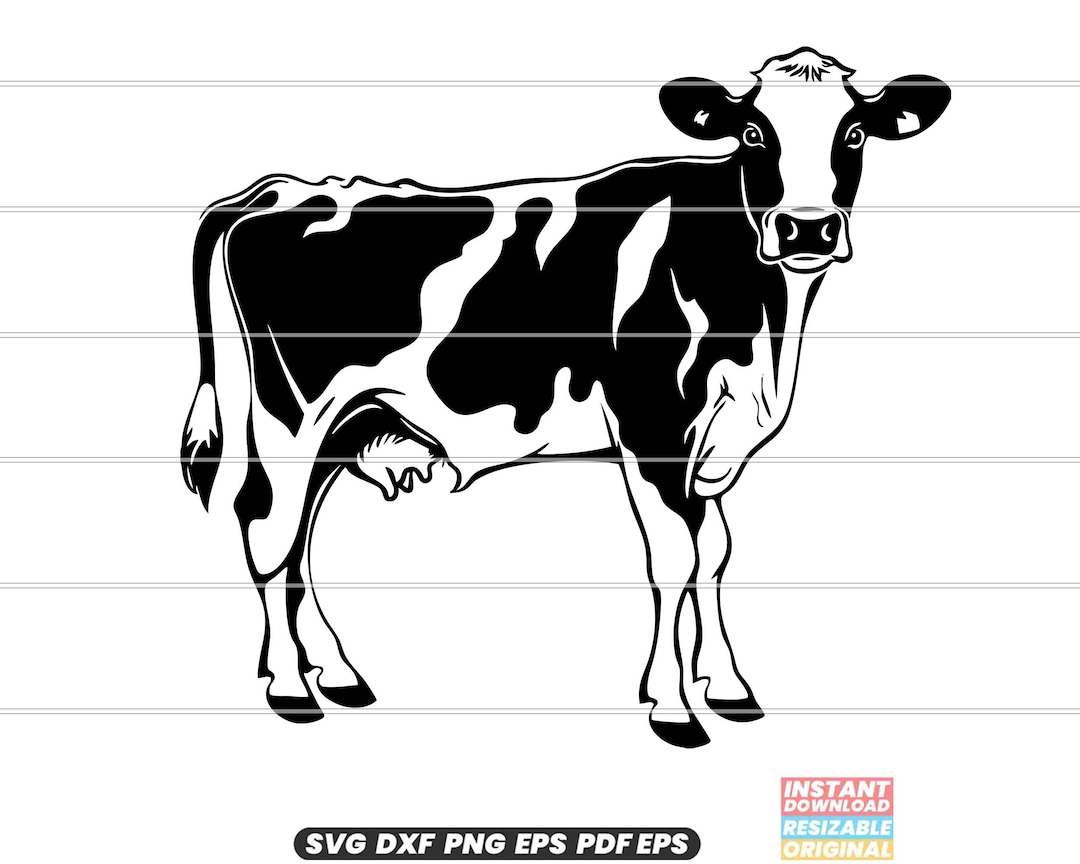 Dairy Cow SVG DXF PNG Cut File Clipart Instant Download Digital File - Etsy