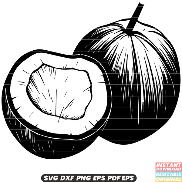 Coconut Svg - Etsy
