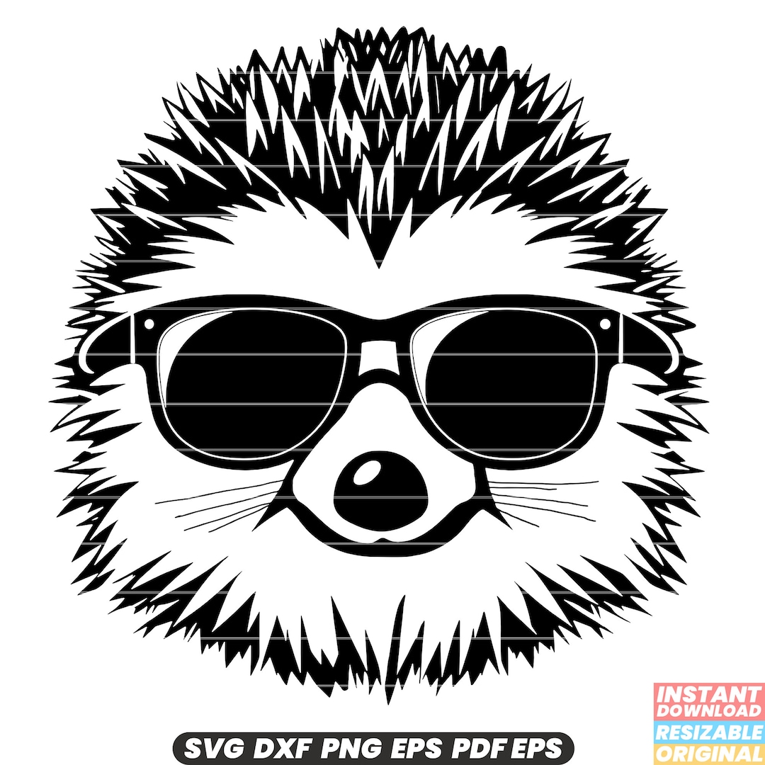 Hedgehog Small Mammal Spiky Prickly Animal Wildlife Nature Cute ...