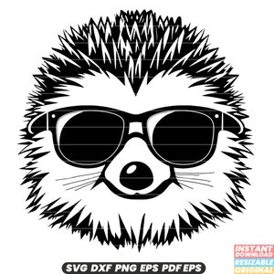 Hedgehog Small Mammal Spiky Prickly Animal Wildlife Nature Cute ...