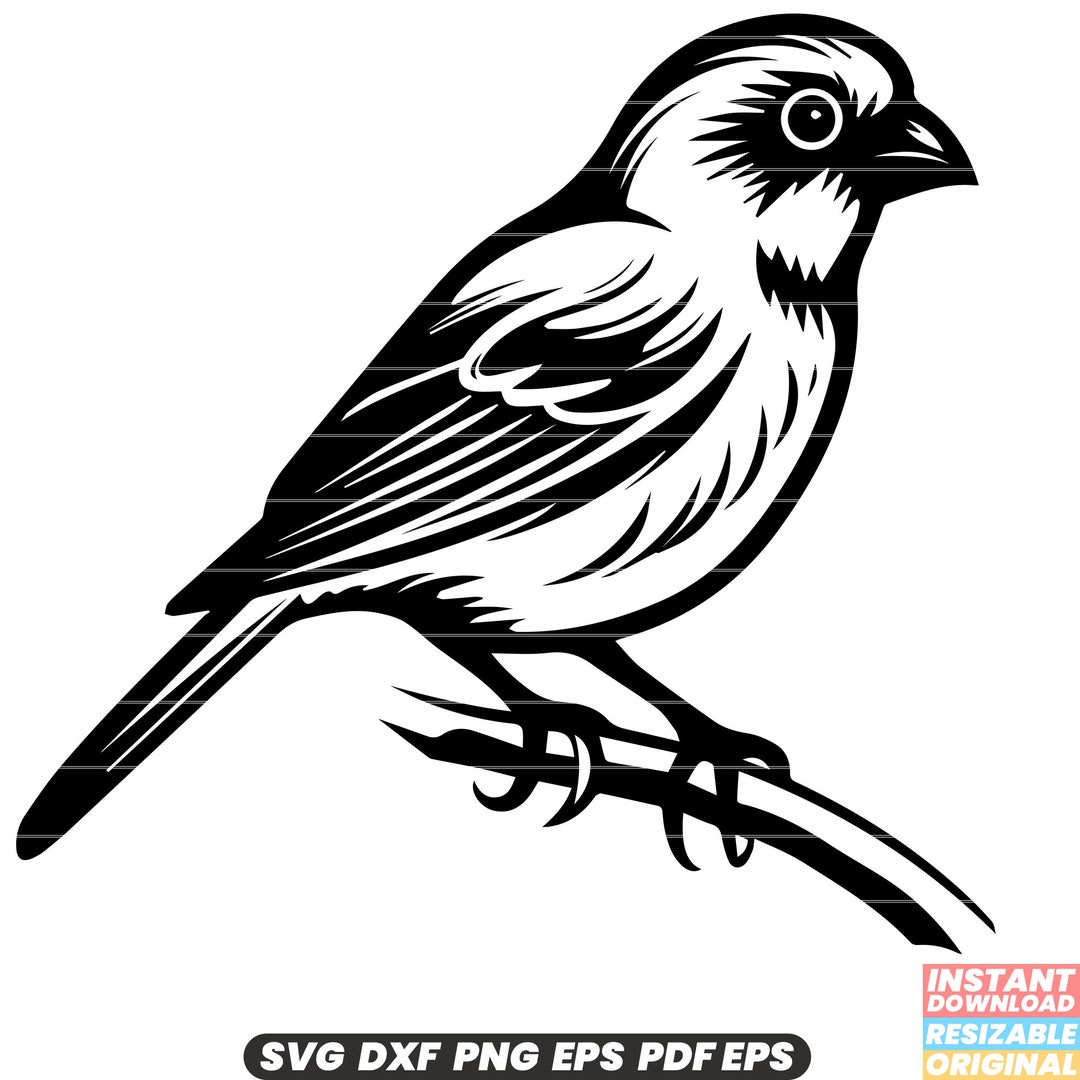 Canary SVG Canary DXF Canary PNG: Vibrant Bird Digital - Etsy