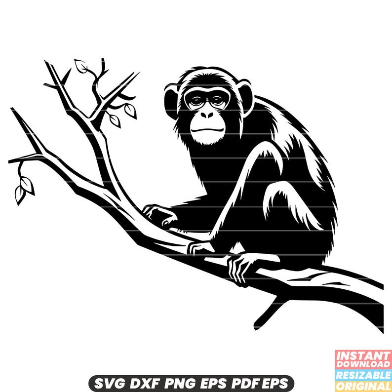 Monkey SVG, Monkey DXF, Monkey PNG Digital Designs Instant Download 3 - Etsy