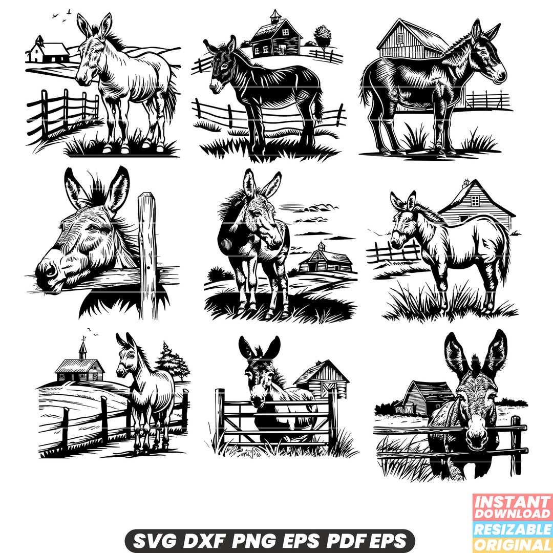9 Design Bundle Donkey and Farm Livestock Animal Domesticated Mammal ...