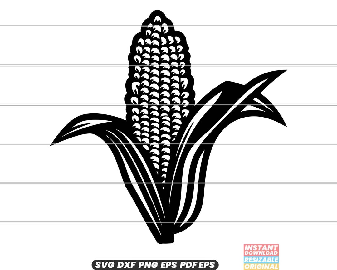 Corn Svg, Corn Dxf, Corn Png, Corn Cut File, Corn Clipart, Corn File ...