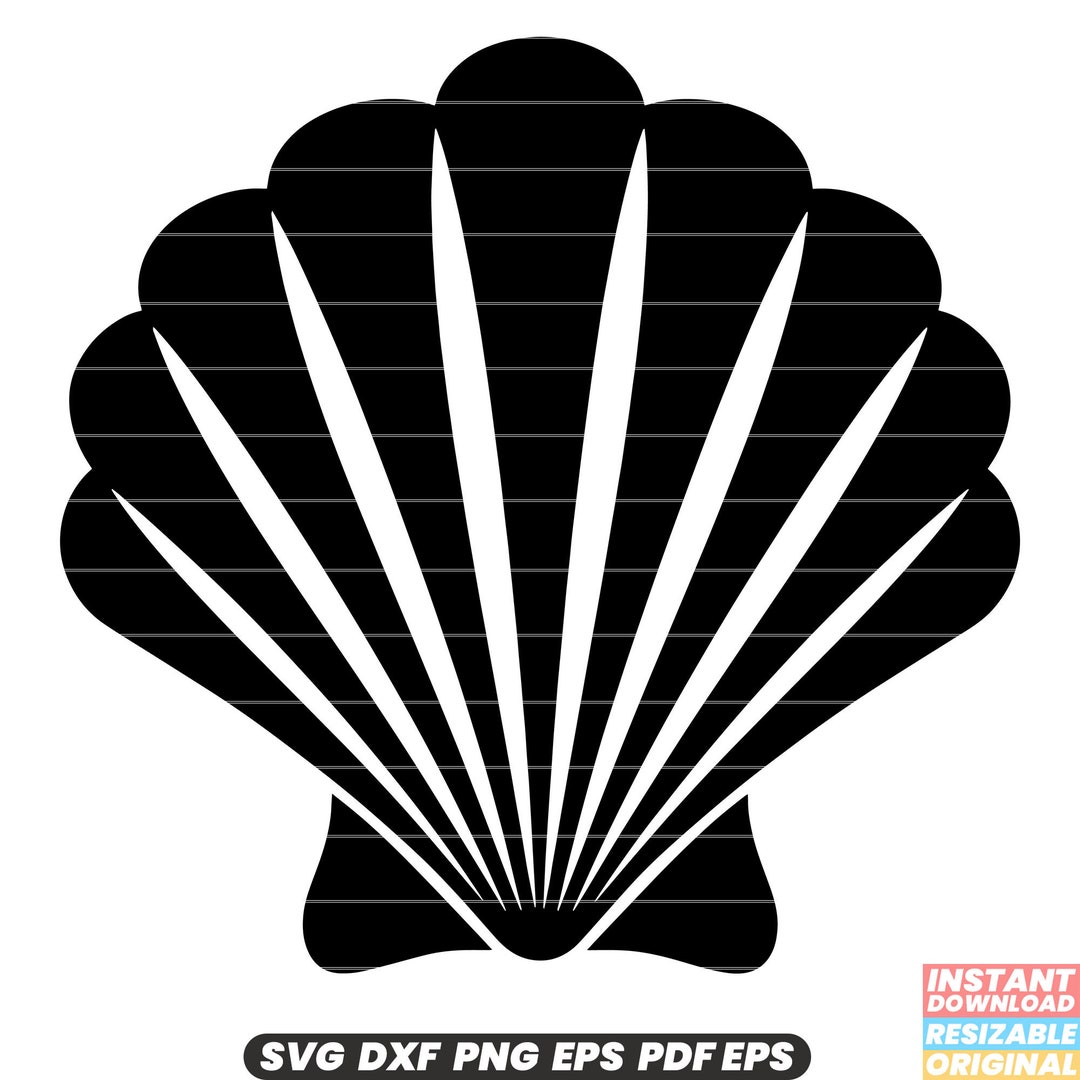 Seashell SVG Ocean Illustration Seashell Clipart Beach Graphic Marine ...
