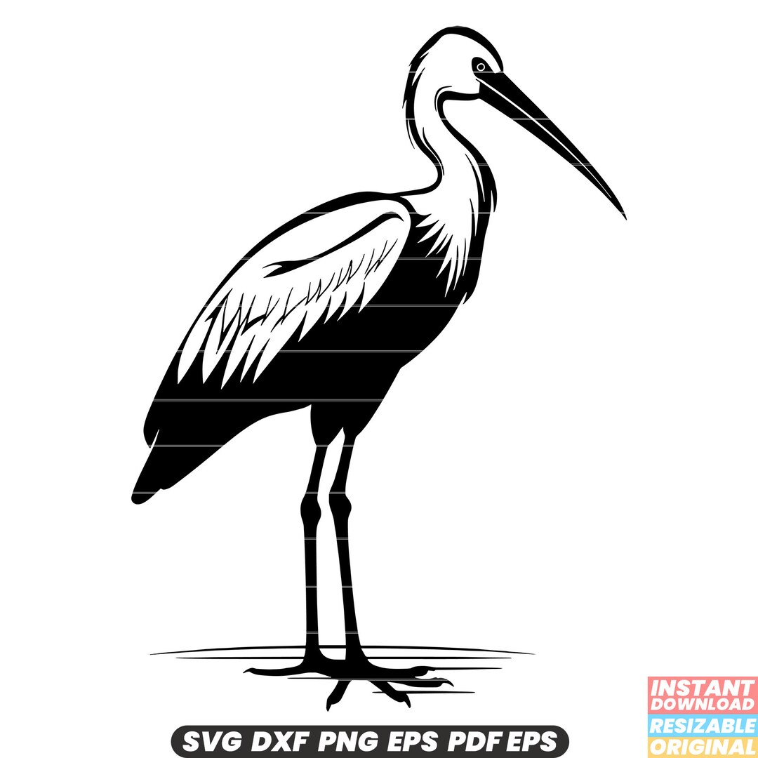 Stork SVG Stork DXF Stork PNG Avian Designs for Birdwatchers Instant ...