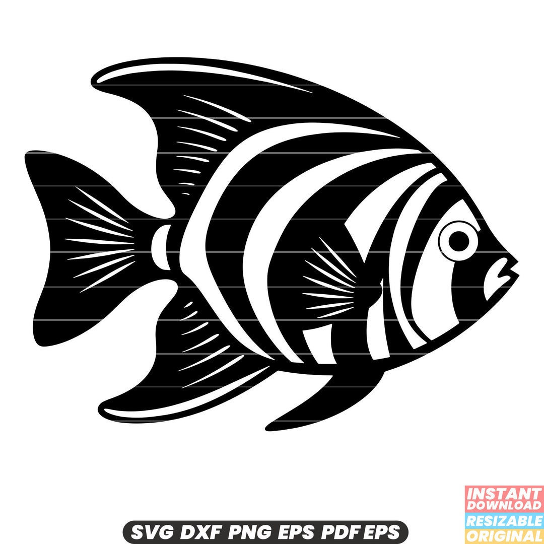 Angelfish Marine Fish Aquarium Ocean Sea Saltwater Tropical Exotic ...