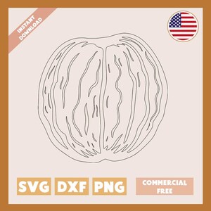 Walnut Outline SVG PNG DXF Ekg Cut File Clipart Instant Download ...