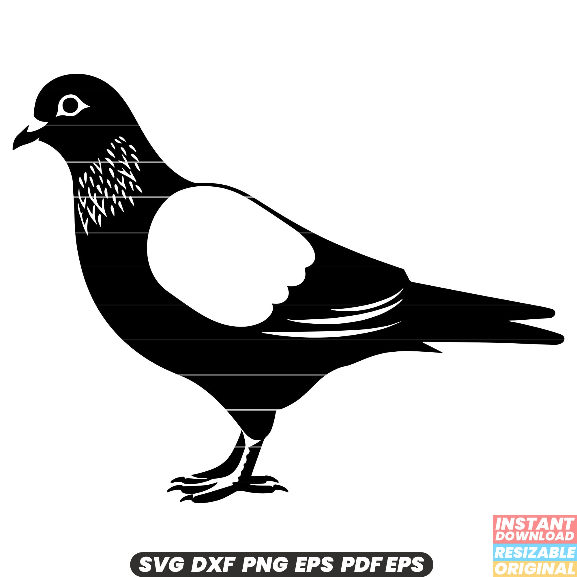 Pigeon SVG, Pigeon DXF, Pigeon PNG Digital Designs Instant Download 2 ...