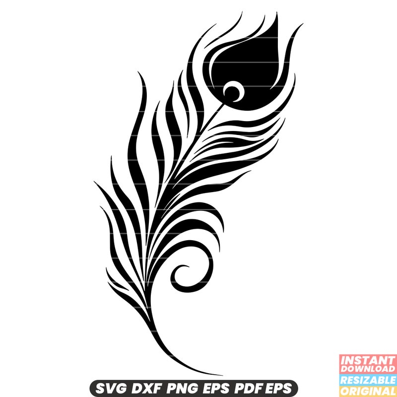 Peacock Feather Svg - Etsy