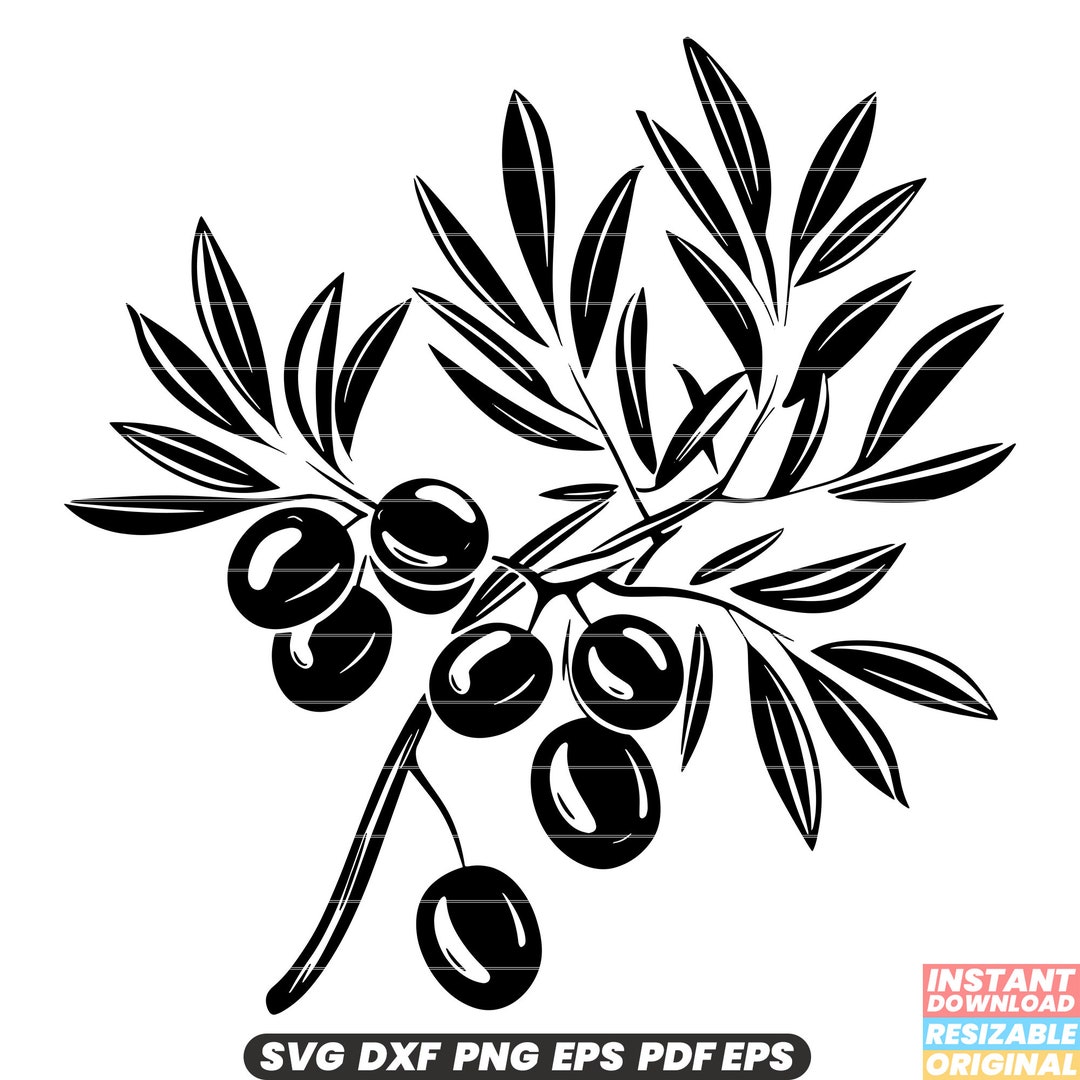 Olive Food Ingredient Mediterranean Cuisine Healthy Oil Fruit Tree ...