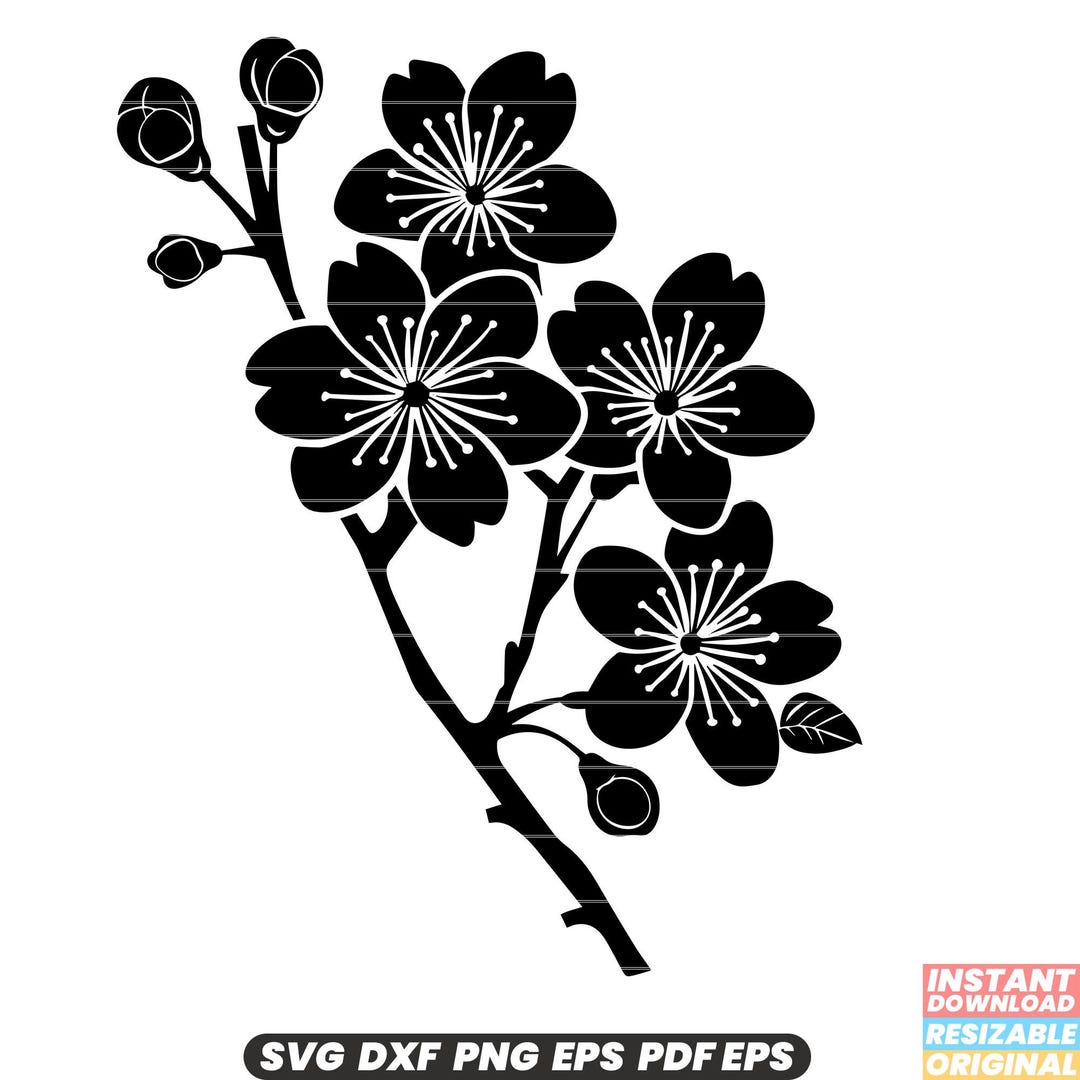 Cherry Blossom Svg, Cherry Blossom Dxf, Cherry Blossom Png, Cherry ...