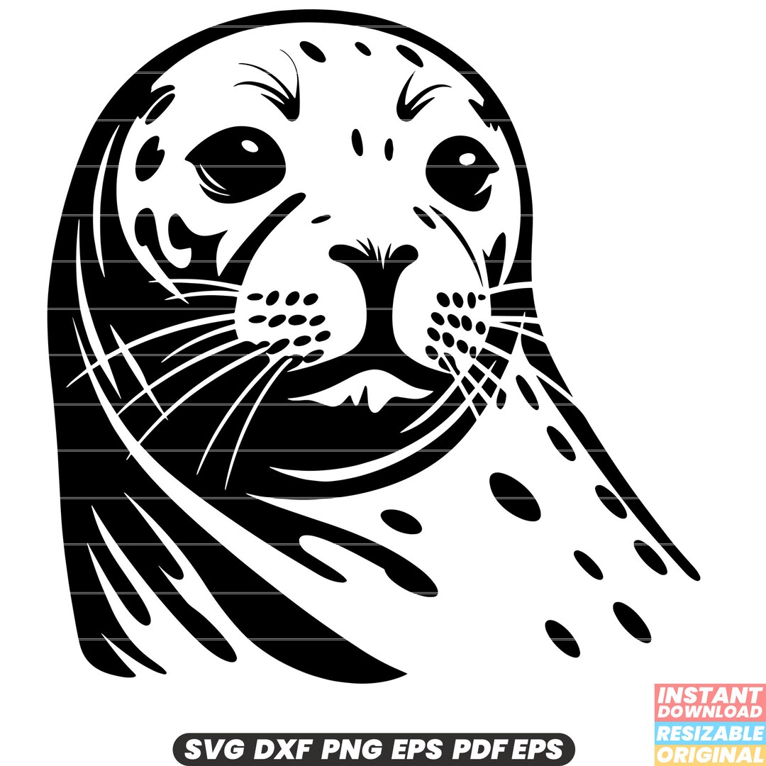 Leopard Seal Marine Mammal Antarctica Predatory Carnivore Pinniped Apex ...