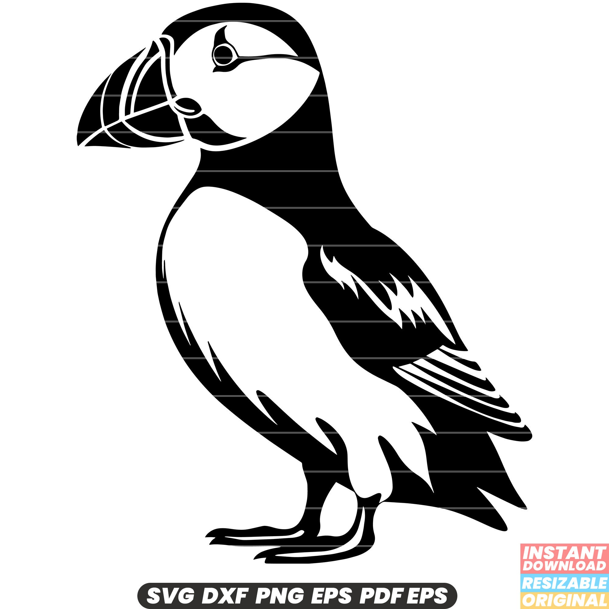 Puffin Bird Atlantic Seabird Colorful Beak Wings Coast Wildlife Nature ...