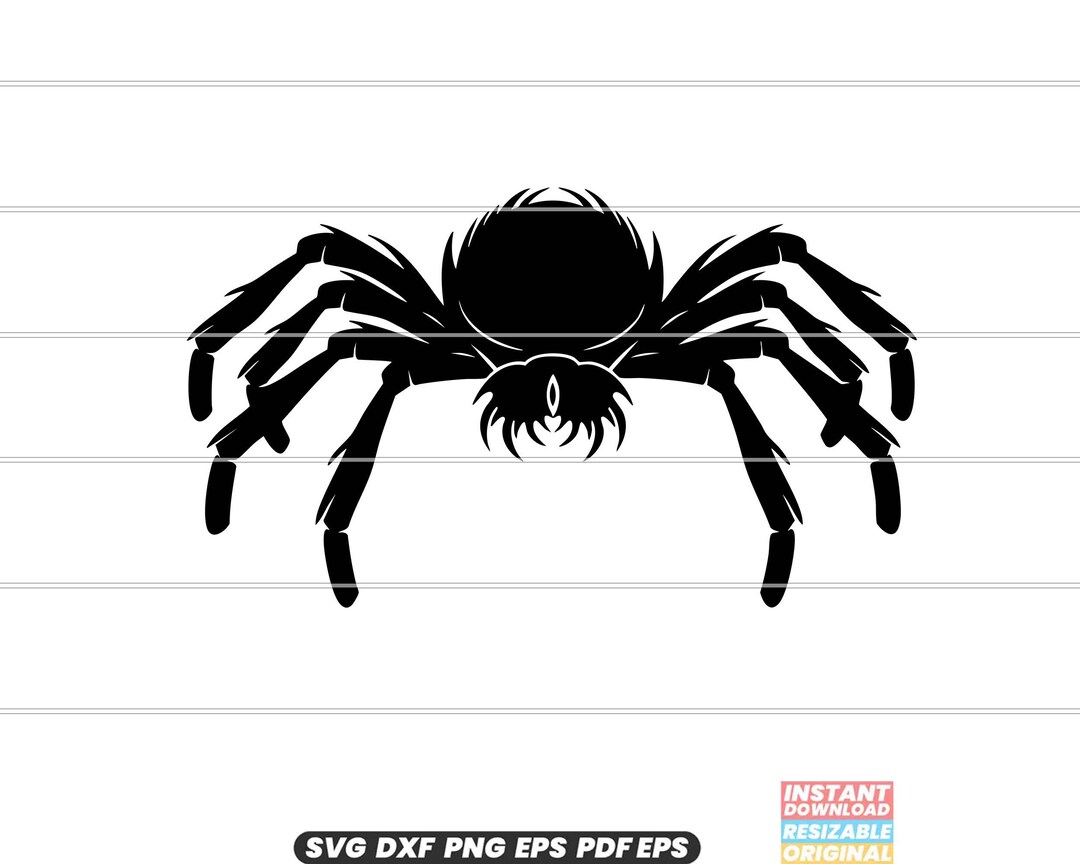 Tarantula Svg, Tarantula Dxf, Tarantula Png, Tarantula Cut File ...