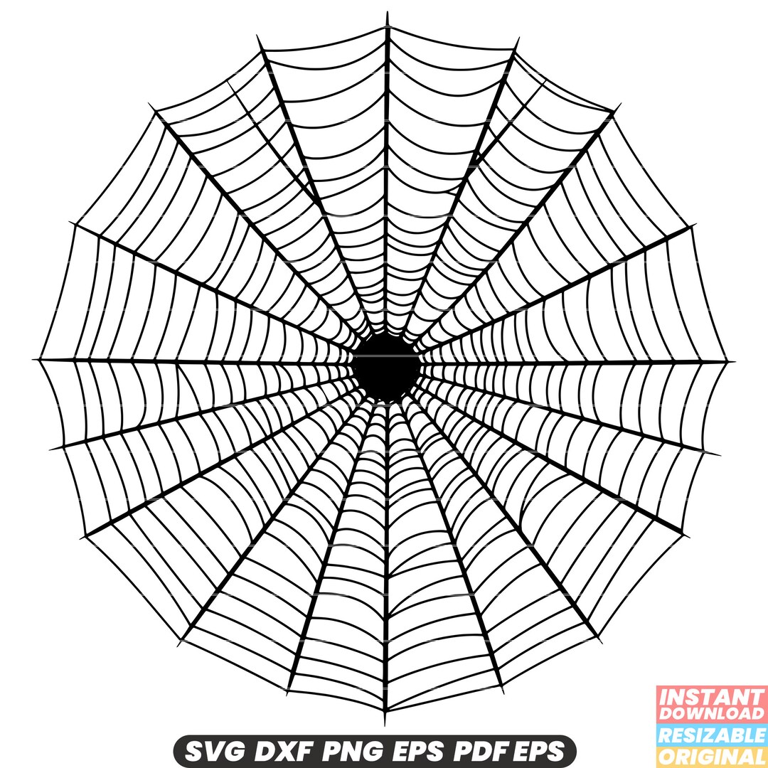 Spider Web Arachnid Silk Trap Sticky Threads Weaving Spiders Insect ...