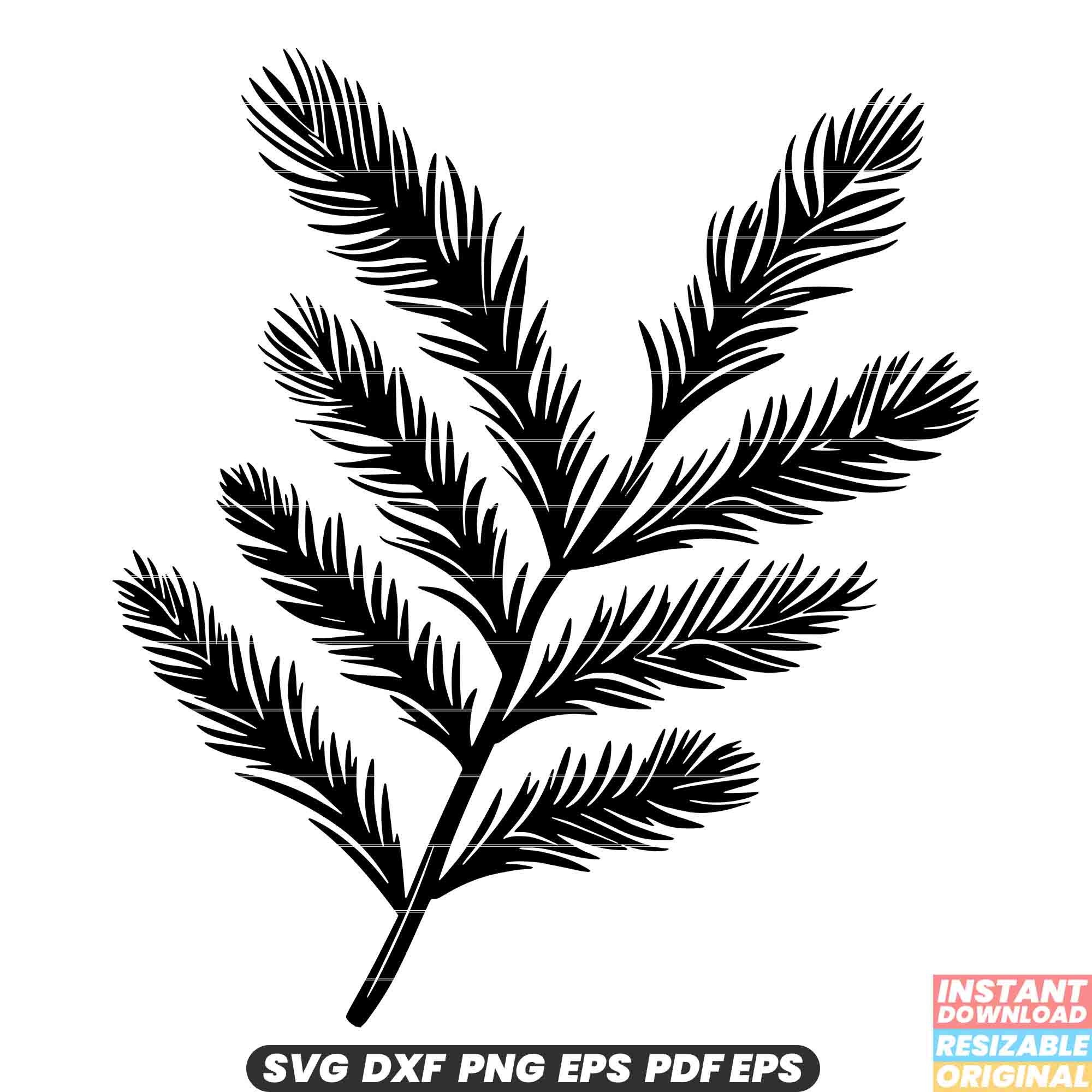 Pine Leaf SVG Pine Tree Nature Evergreen Forest Botanical Tree DXF PNG ...