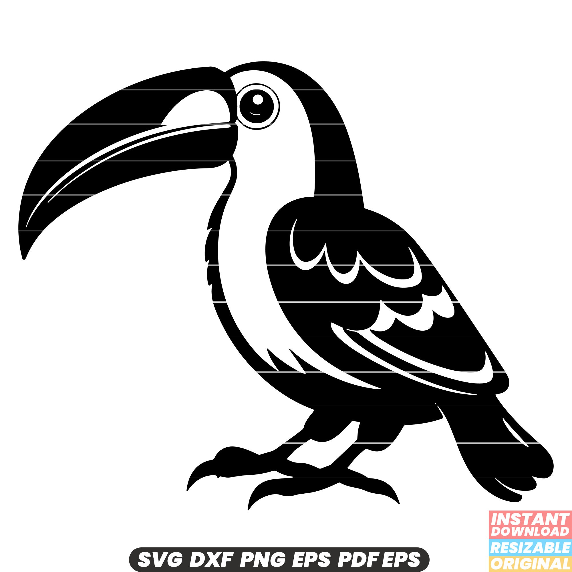 Toucan SVG Toucan DXF Toucan PNG Exotic Bird Designs for Birdwatchers ...