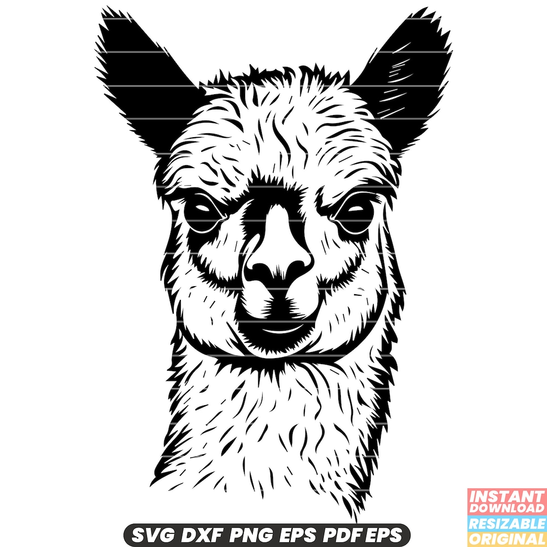 Alpaca Animal Wool South America Camelid Andes Livestock Farm SVG DXF ...