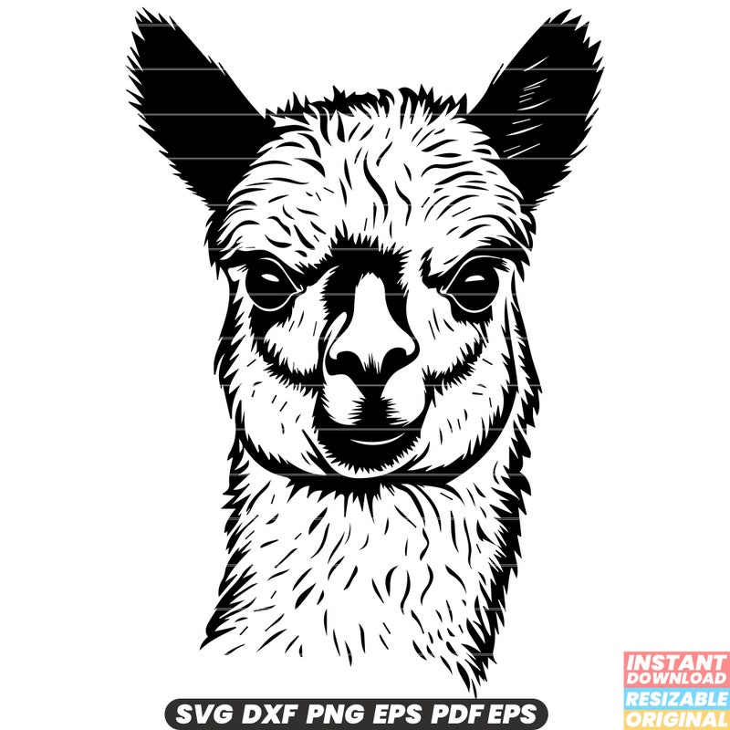 Alpaca Svg - Etsy