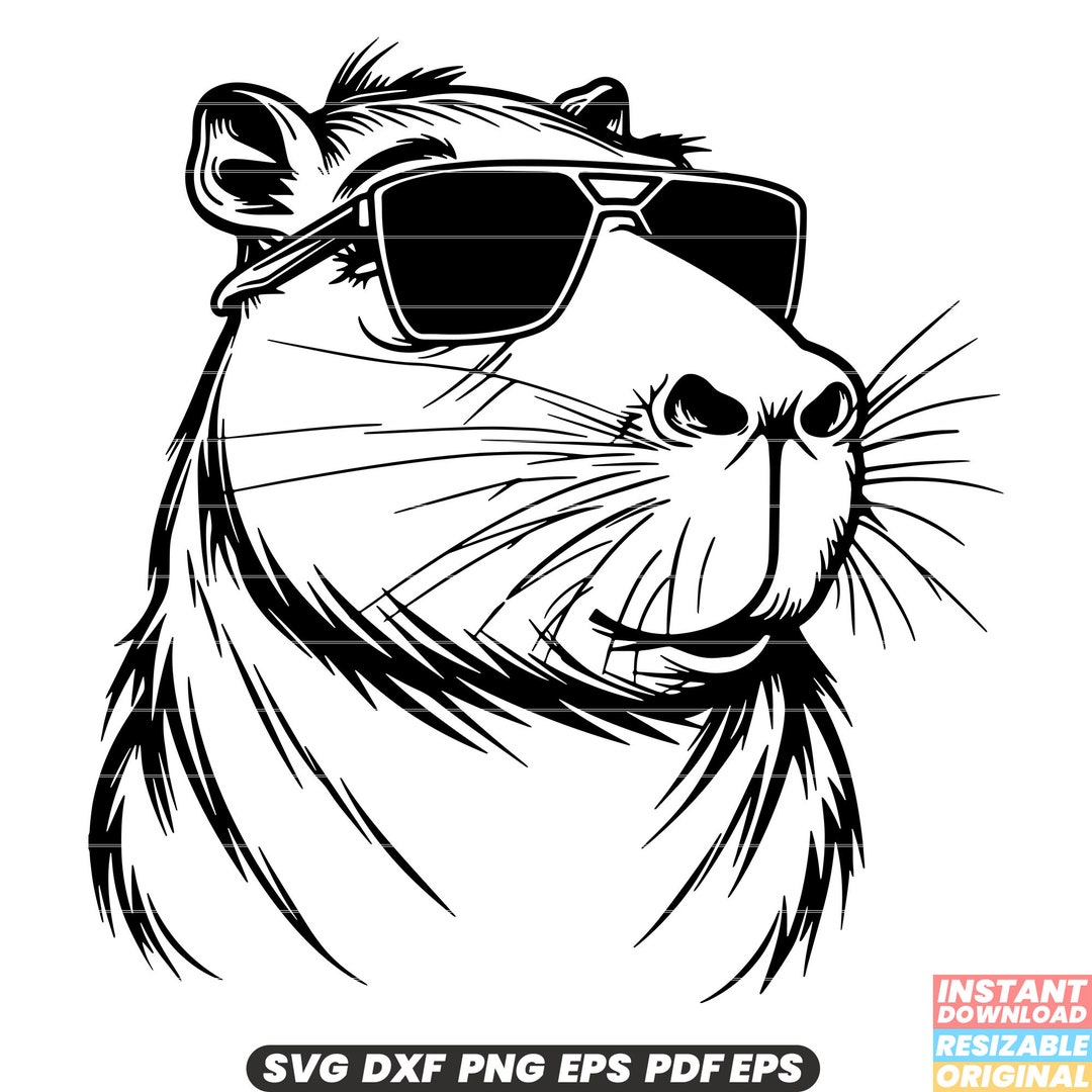 Capybara Wildlife Animal Rodent Nature South America Amazon Rainforest ...