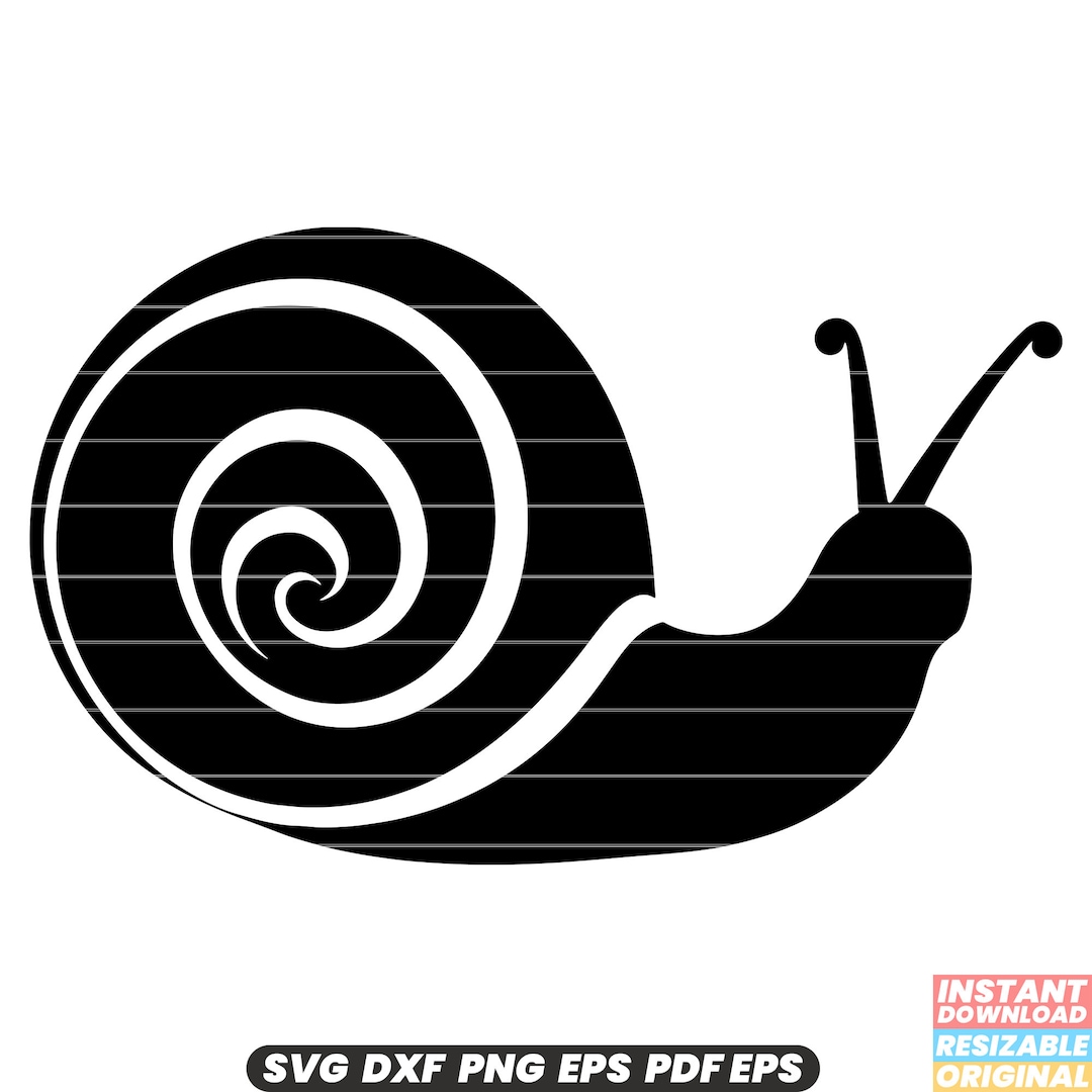 Snail Mollusk Gastropod Slow Wildlife Nature Shell Spiral Crawling Slug ...