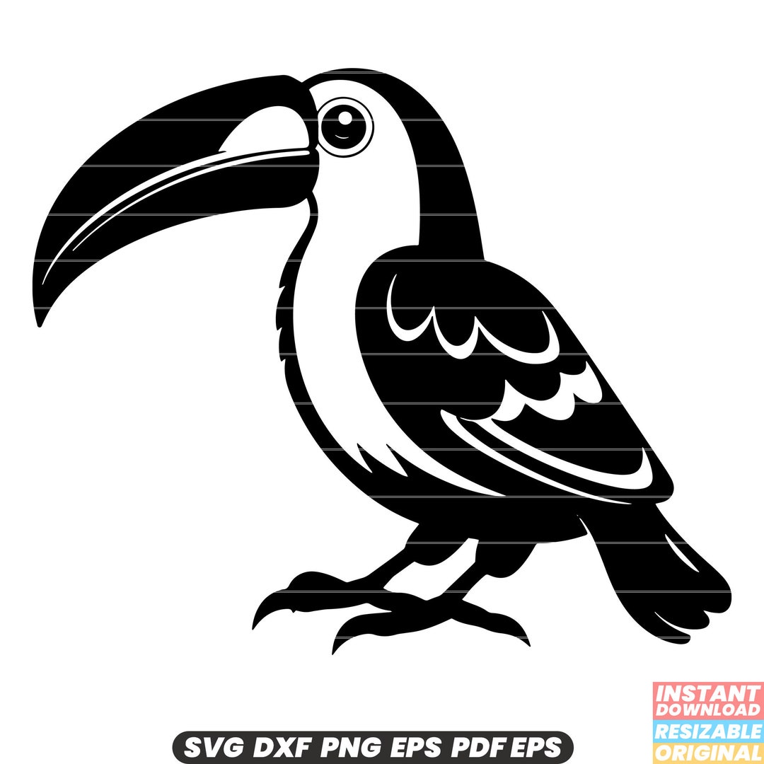 Toucan SVG Toucan DXF Toucan PNG Exotic Bird Designs for Birdwatchers ...
