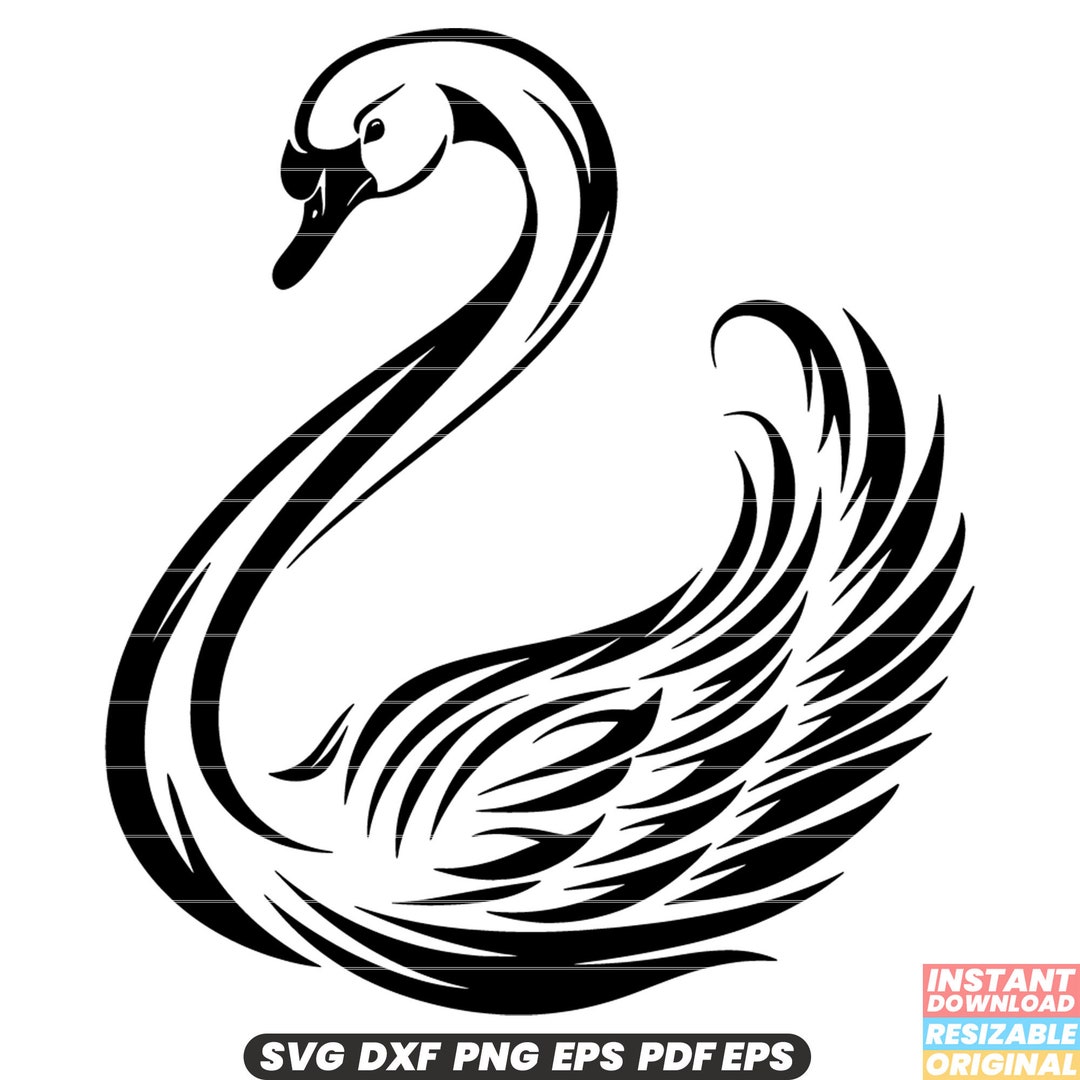 Swan SVG Bird Illustration Swan Clipart Graceful Graphic Waterfowl ...