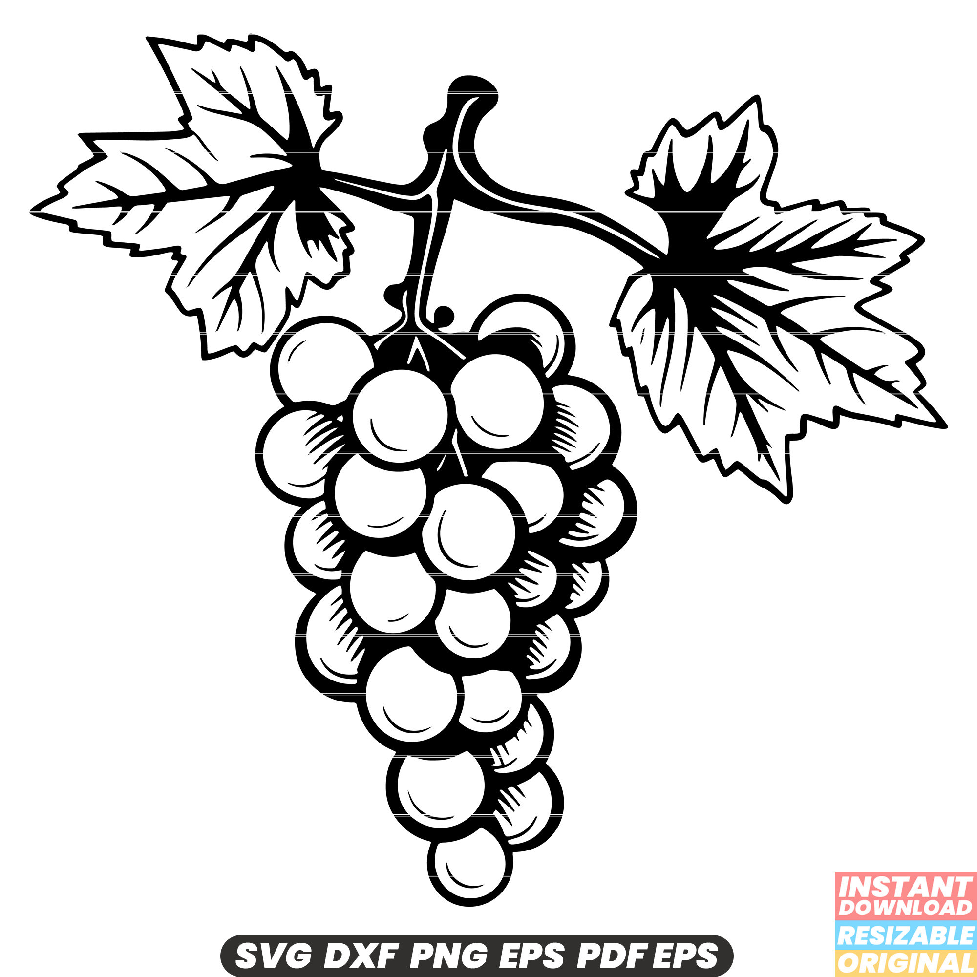 Grape Fruit Berry Vineyard Wine Winery Agriculture SVG DXF PNG Cut File ...