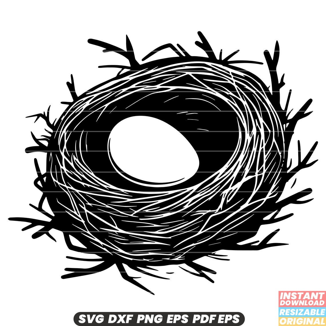 Bird Nest Wildlife Nature Habitat Aviary Eggs Feathers Shelter Spring ...