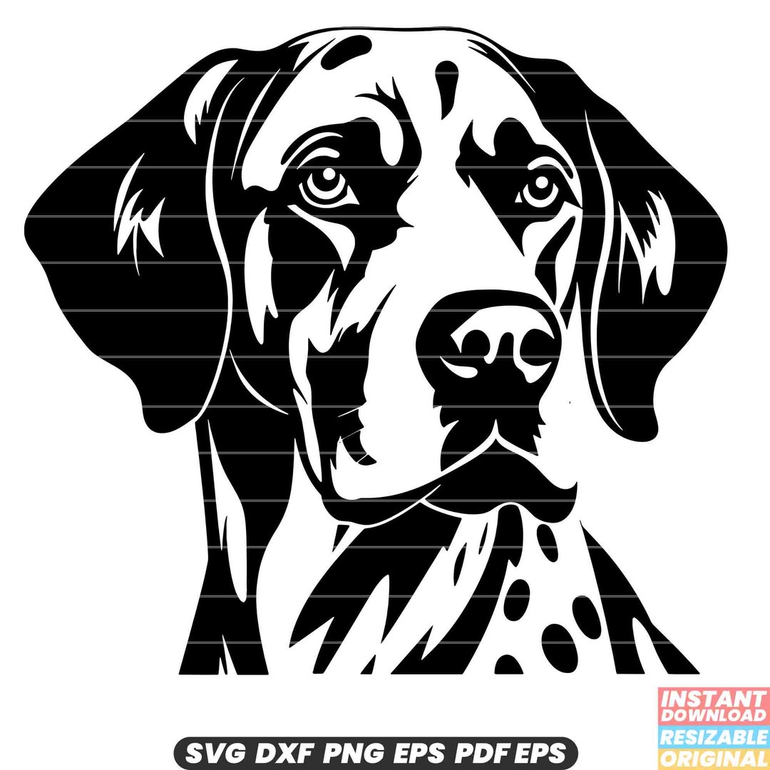 Pointer Dog Breed SVG - Hunting Hound, Canine Companion, Pet ...