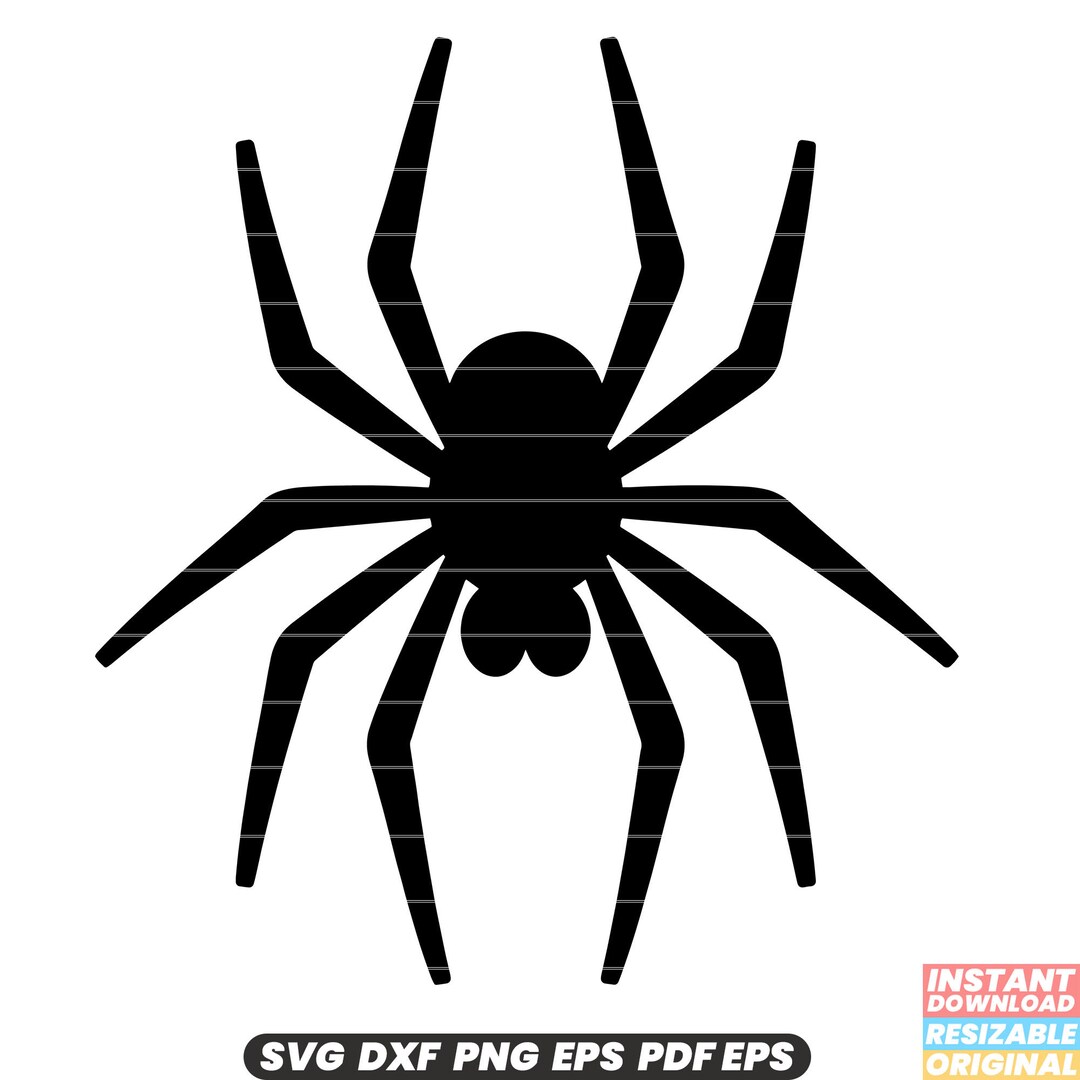 Spider SVG Insect Illustration Spider Clipart Arachnid Graphic Creepy ...