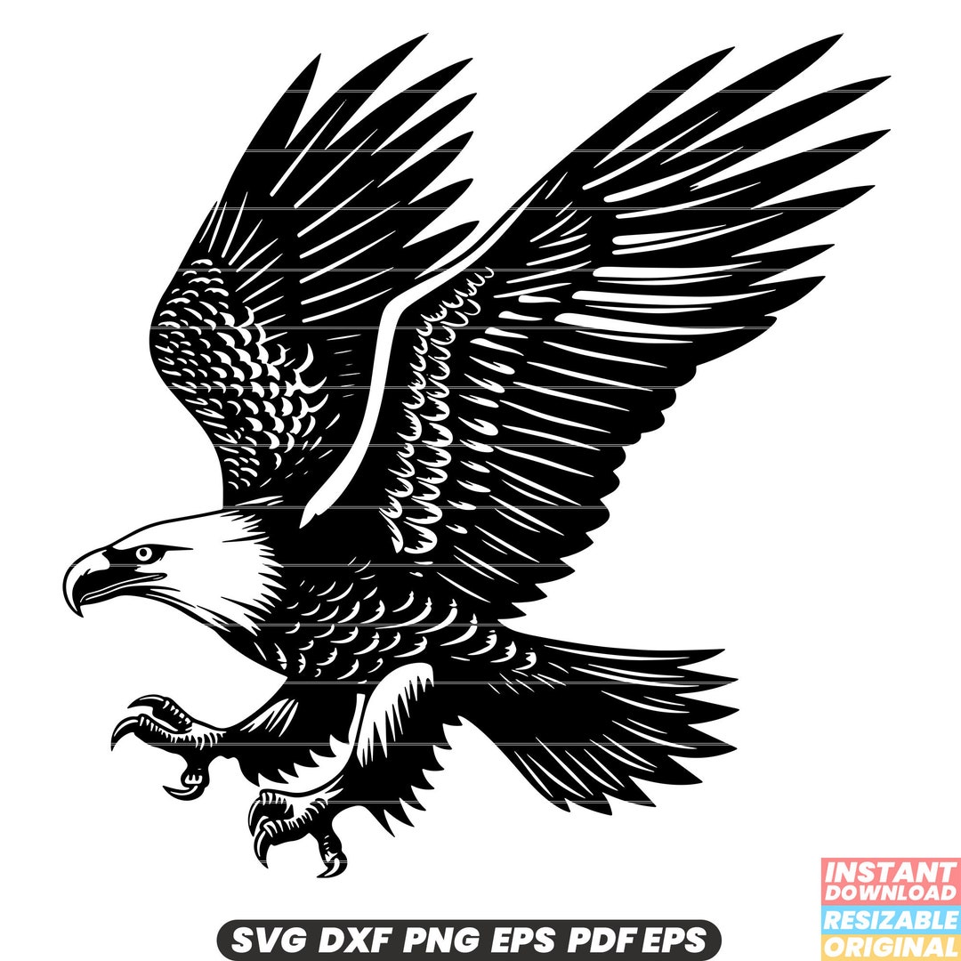 Bald Eagle Wildlife Bird Symbol National Emblem Usa America Raptor ...